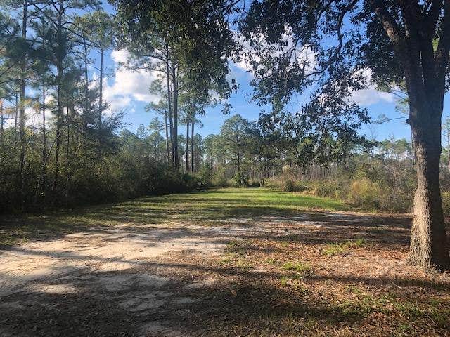 Tate's Hell State Forest High Bluff Primitive Campsites, FL | Eastpoint, FL