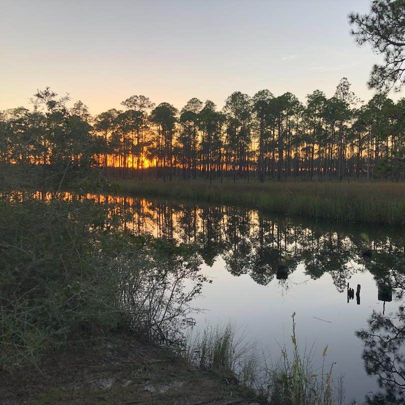 Tate's Hell State Forest High Bluff Primitive Campsites, FL Camping ...