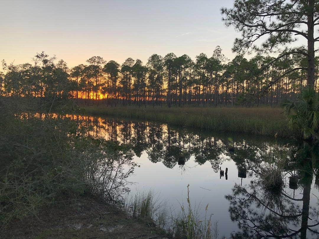 Tate's Hell State Forest High Bluff Primitive Campsites, FL | Eastpoint, FL