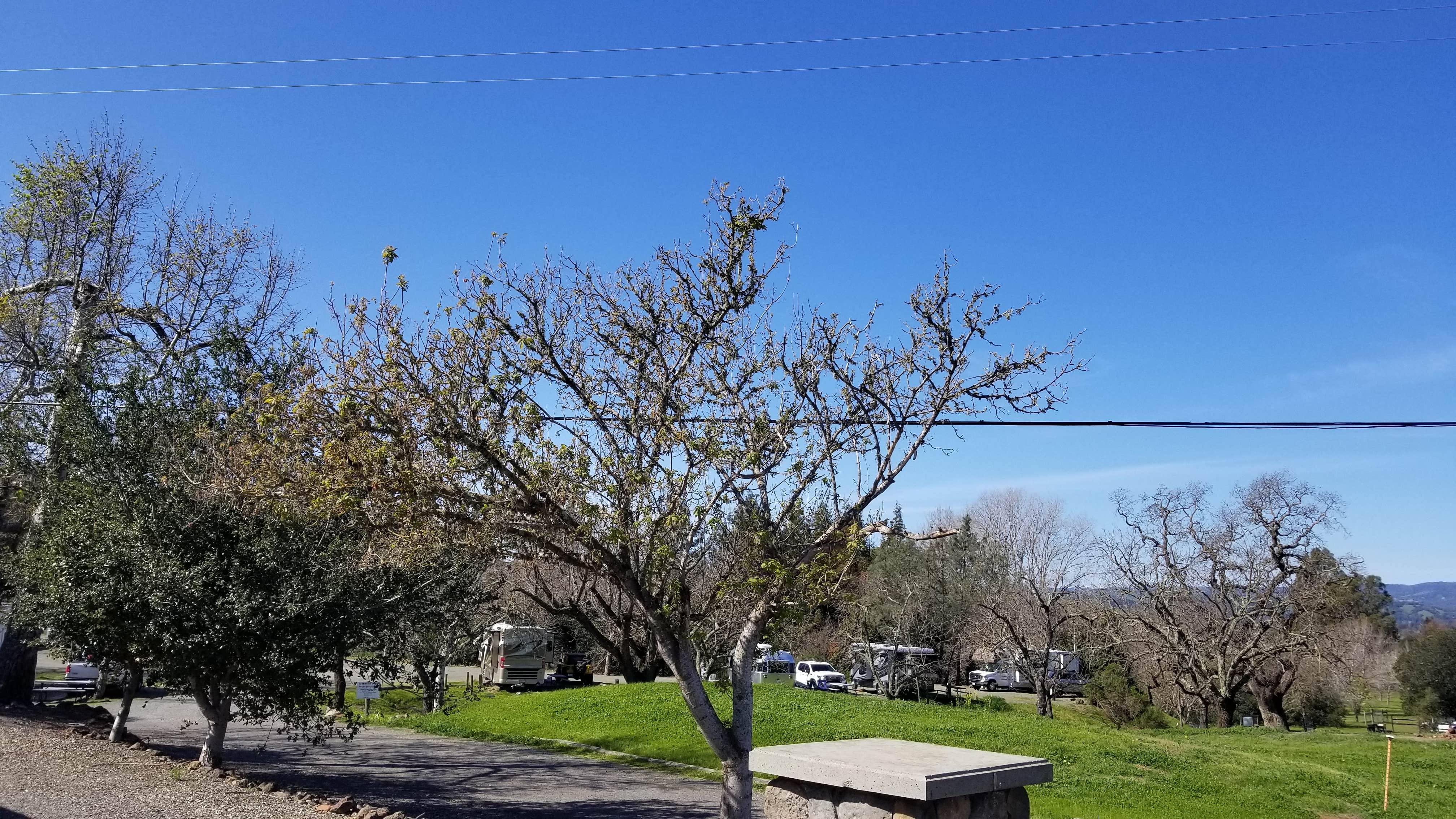 Skyline Wilderness Park Camping | Napa, CA