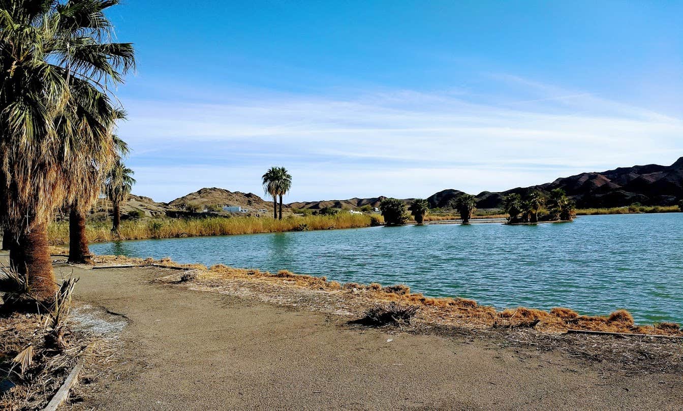 Mittry Lake Wildlife Area Camping | Yuma, AZ