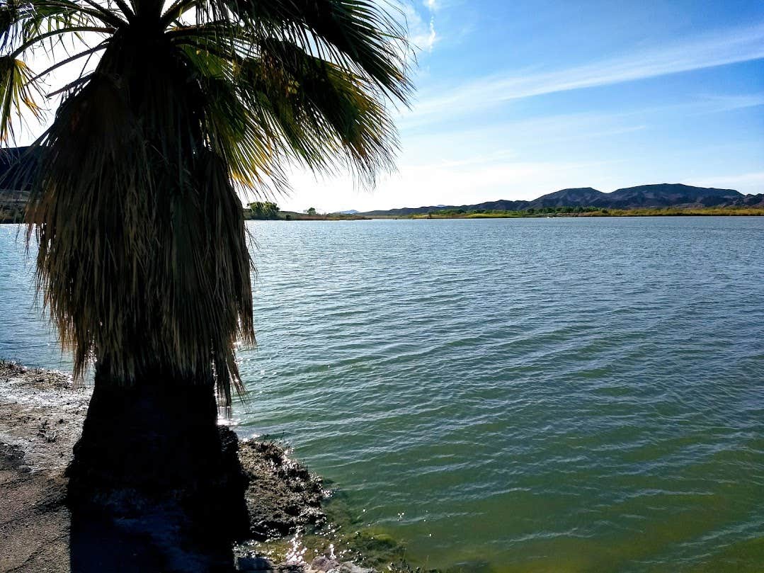 Mittry Lake Wildlife Area Camping | Yuma, AZ