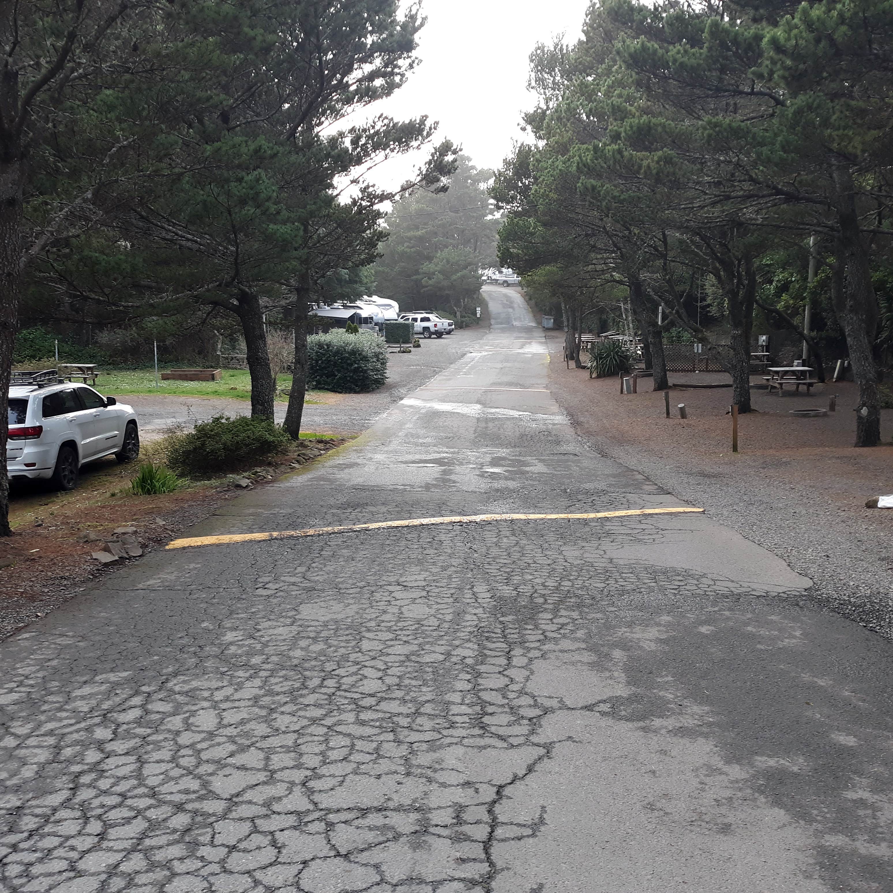 Sea and Sand RV Park Camping | The Dyrt