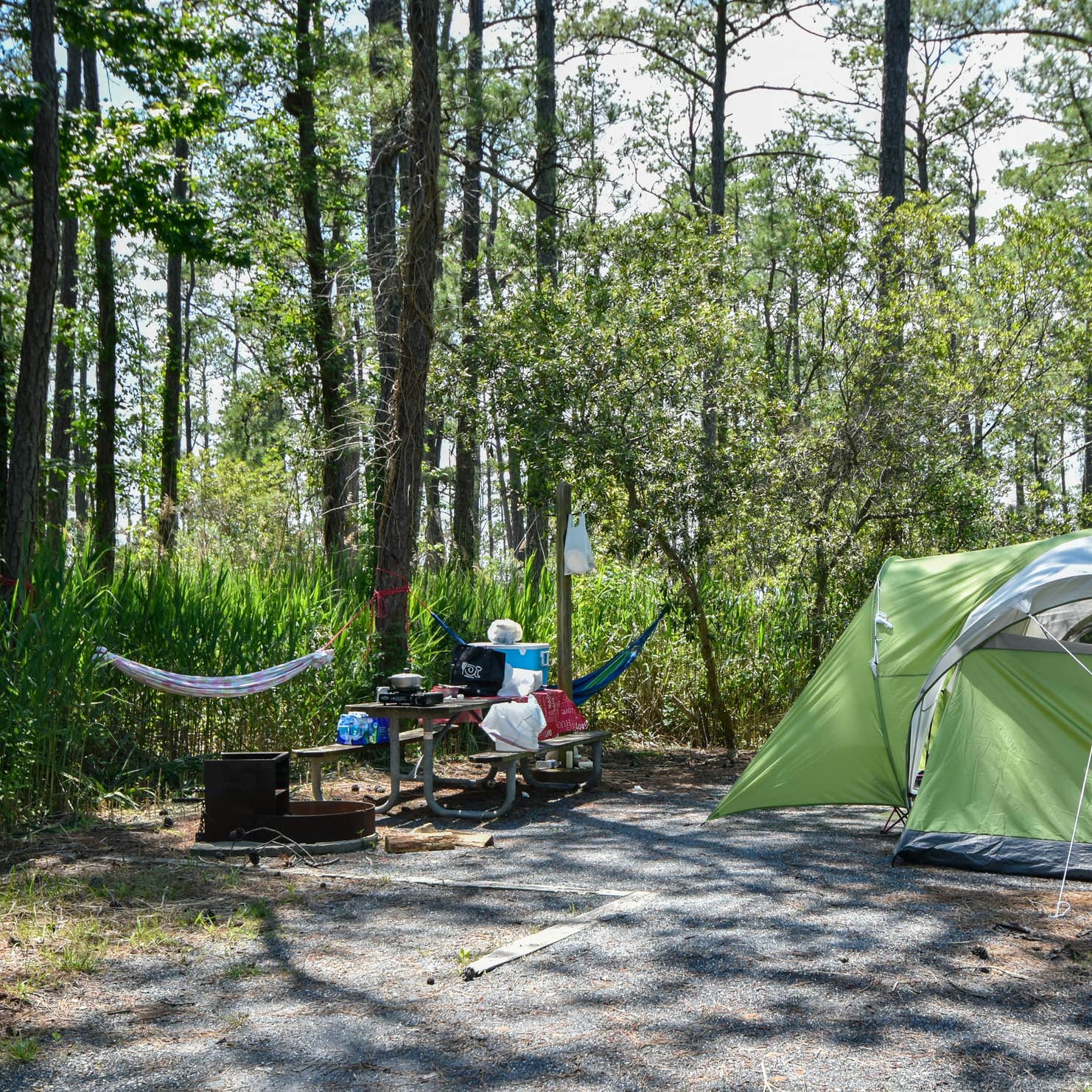 Point Lookout State Park - Temporarily Closed Camping | The Dyrt