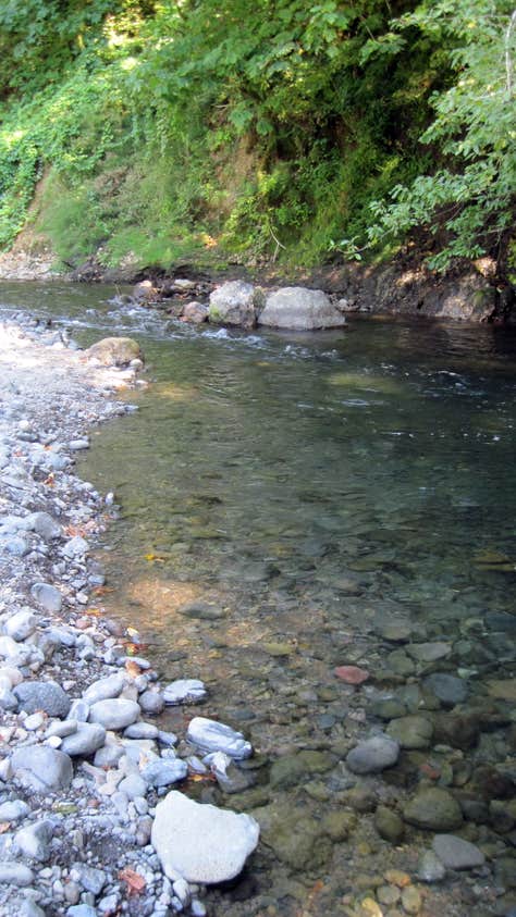 Kilchis River County Campground (Tillamook County Park) | The Dyrt