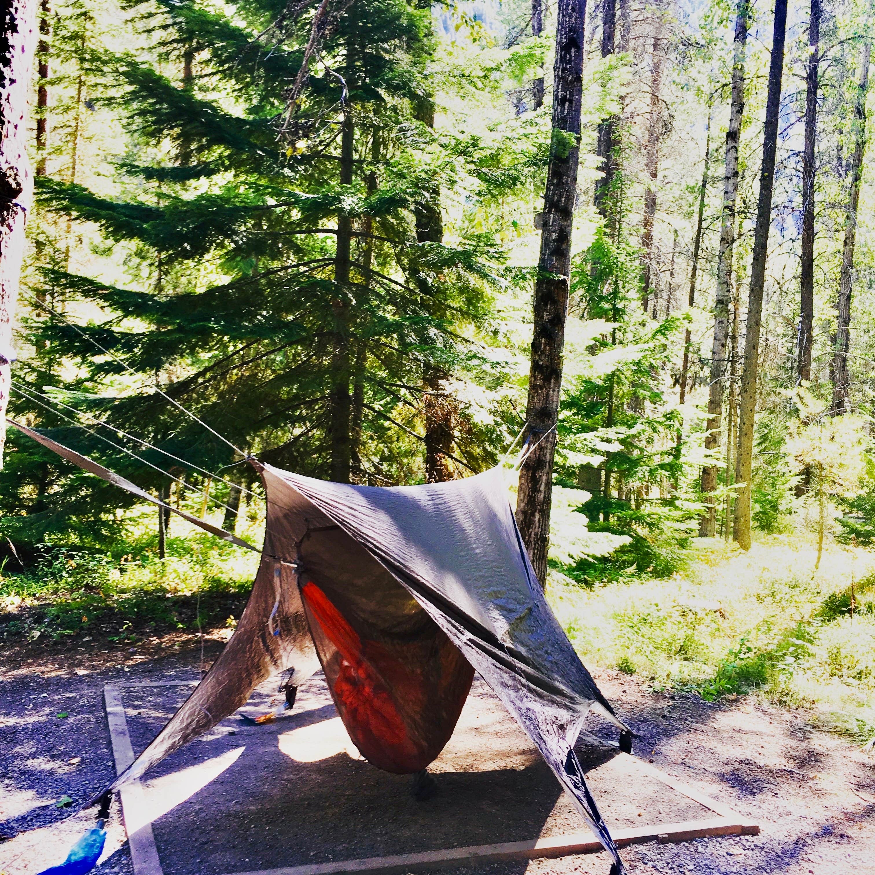 Apgar Campground - Glacier National Park | The Dyrt