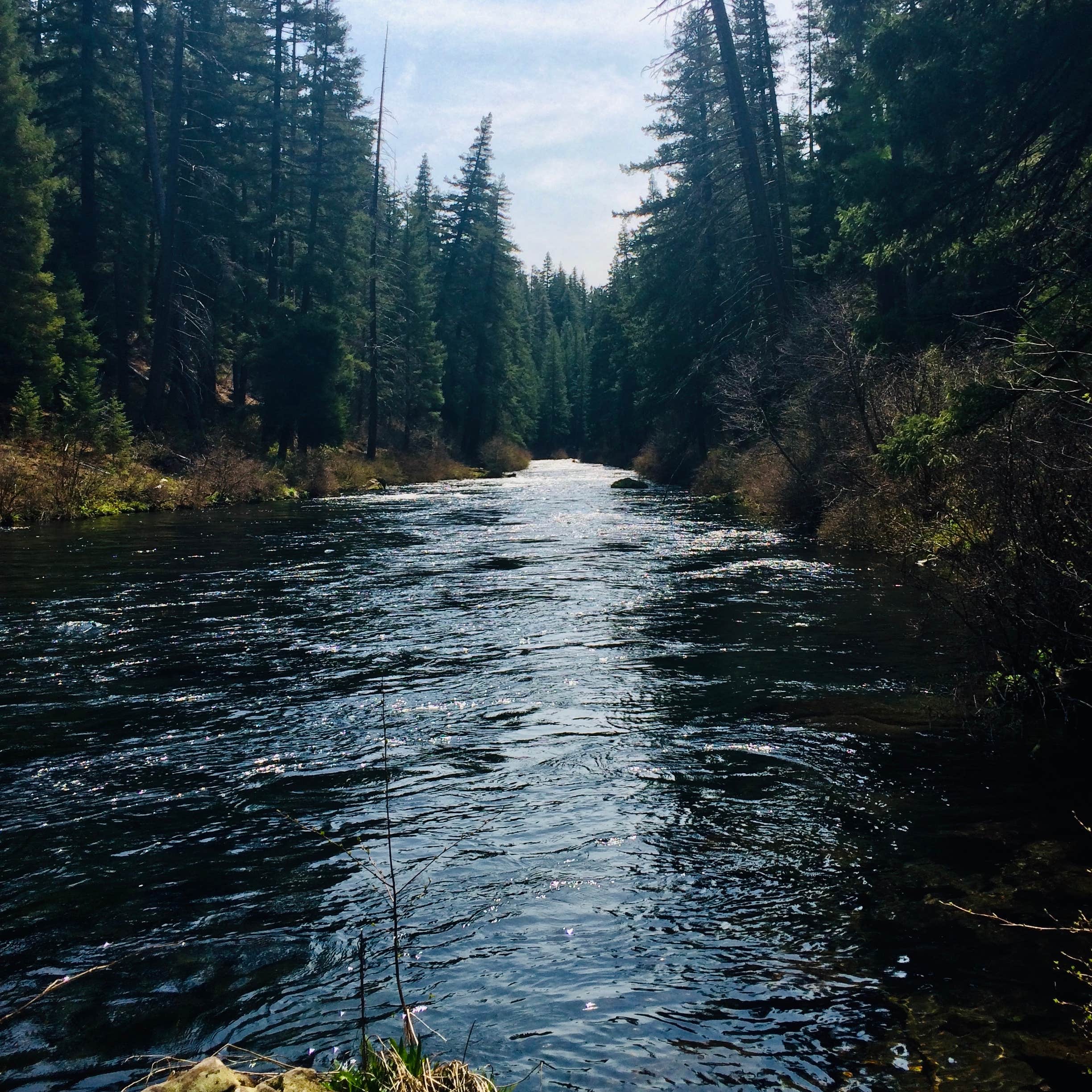 Camp Sherman Campground | Camp Sherman, Oregon