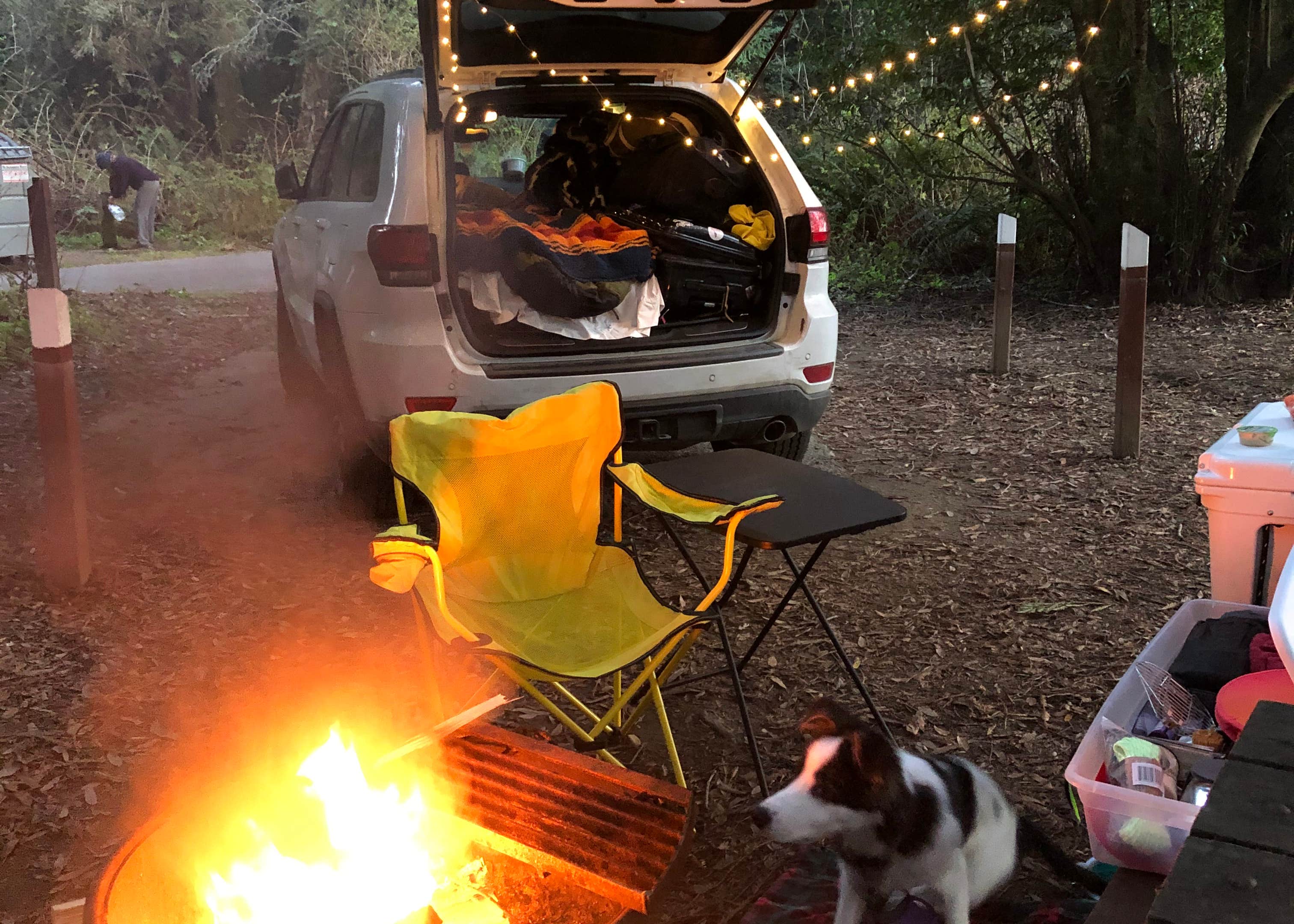 Gualala Point Regional Park Camping | The Dyrt