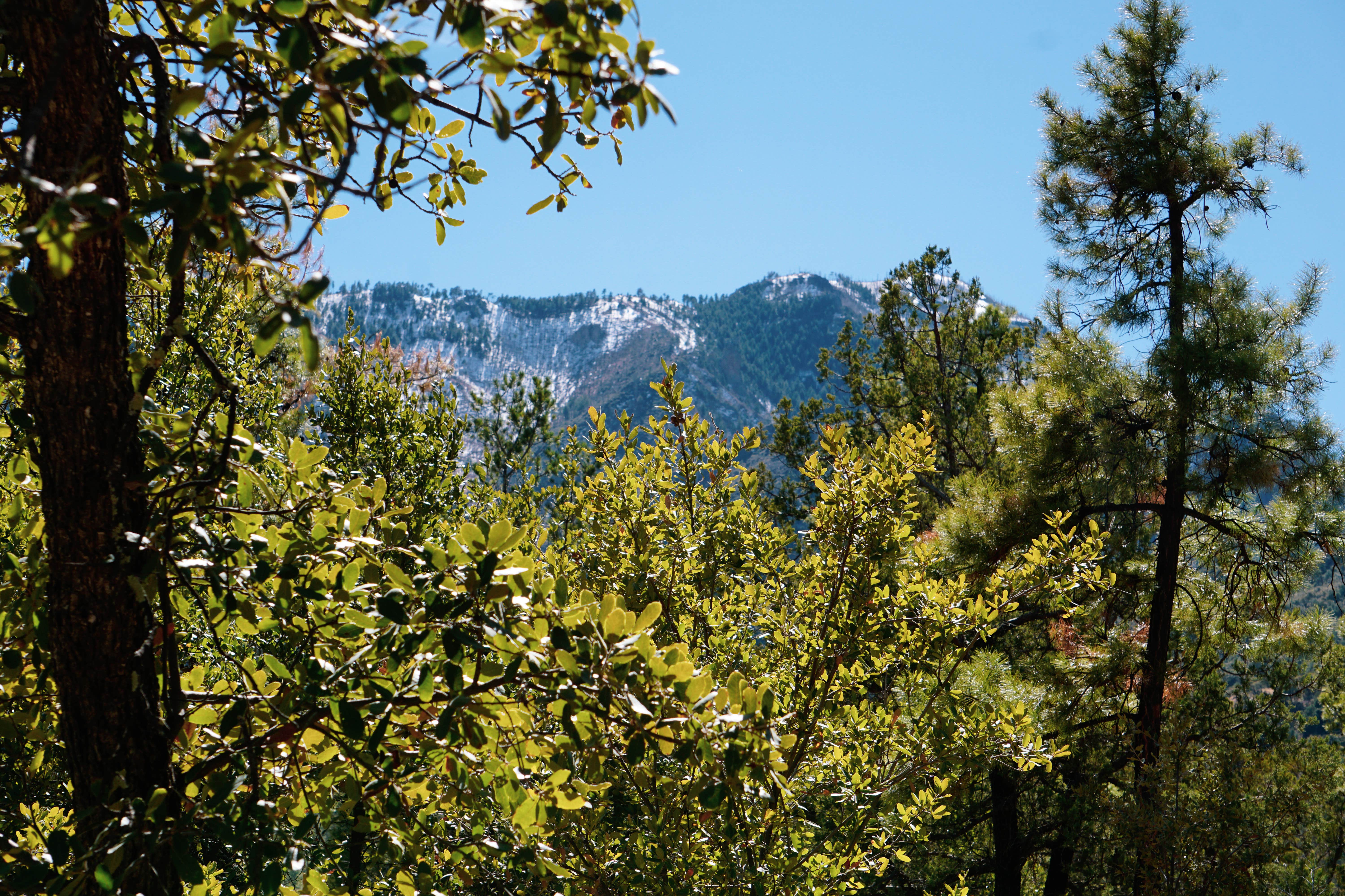 Sunny Flat Campground | The Dyrt