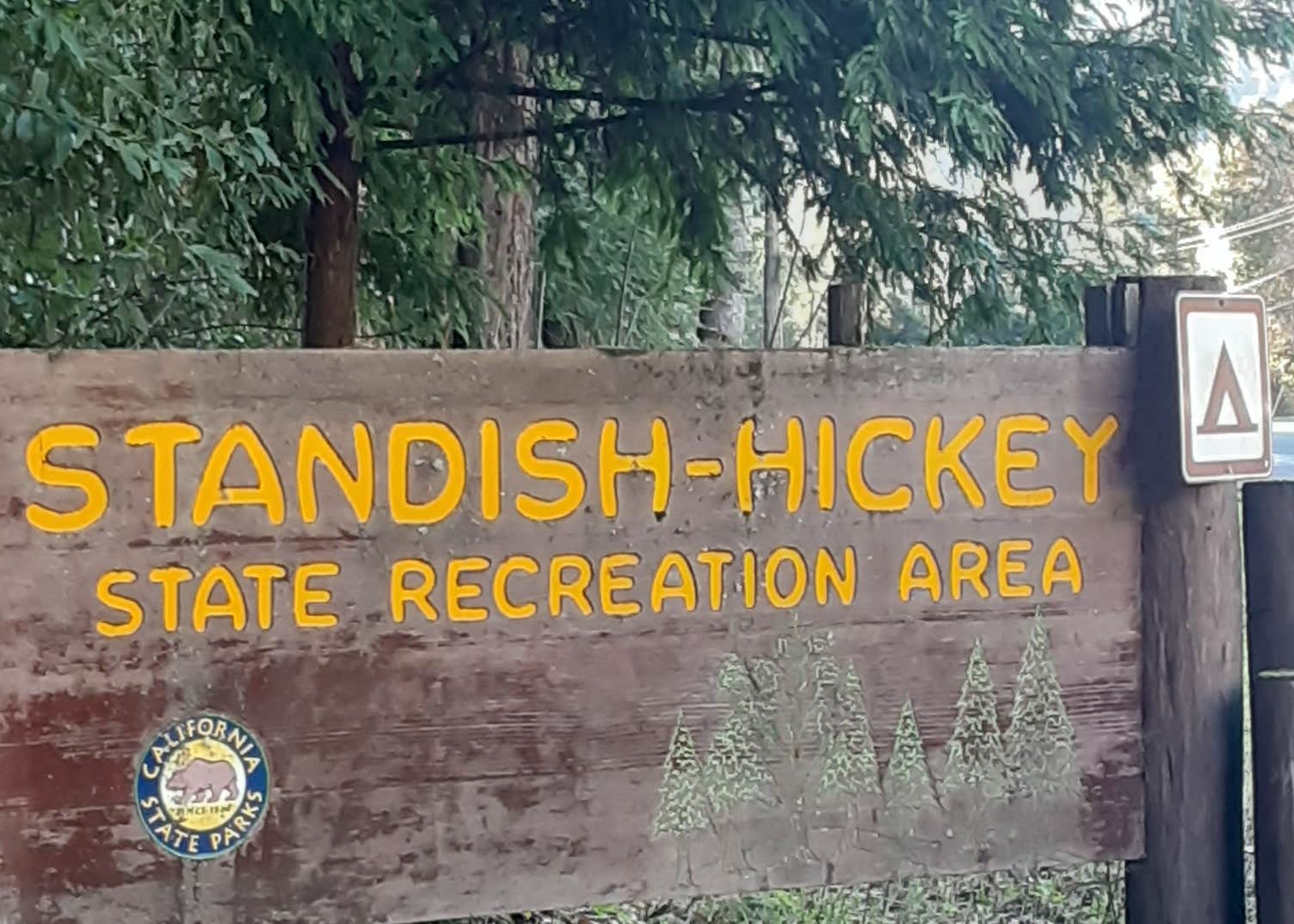 Redwood - Standish-Hickey SRA Camping | The Dyrt