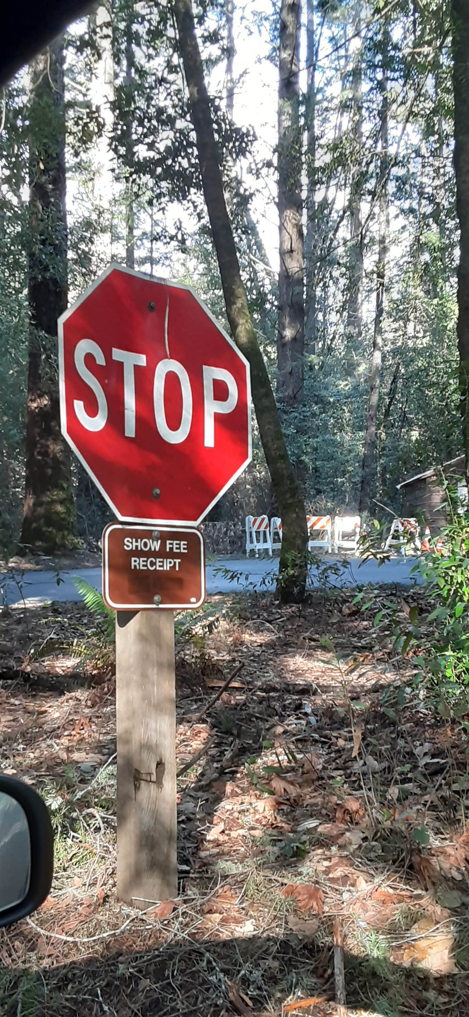 Usal Beach - Sinkyone Wilderness State Park | The Dyrt