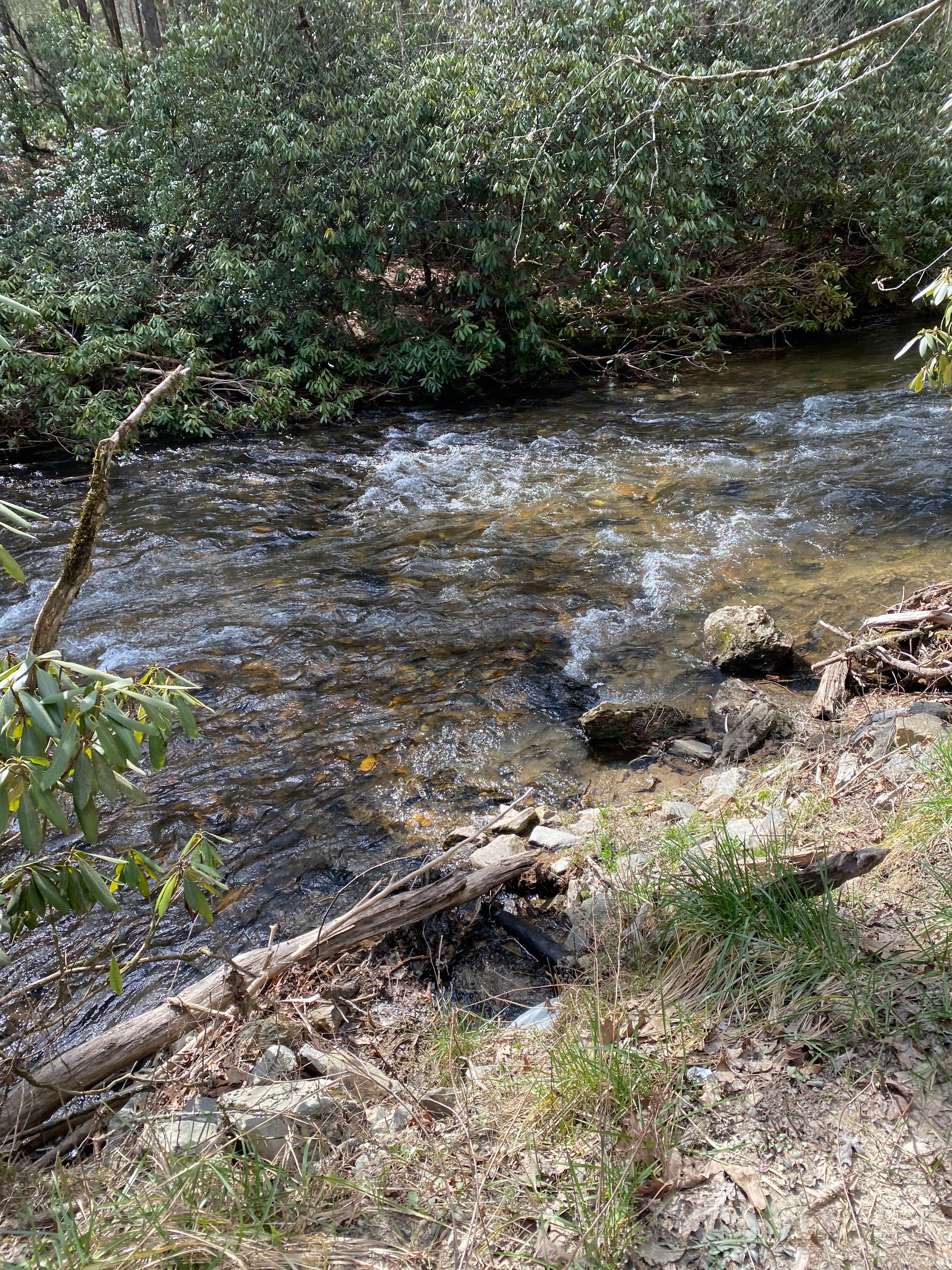 Mulky Campground | The Dyrt