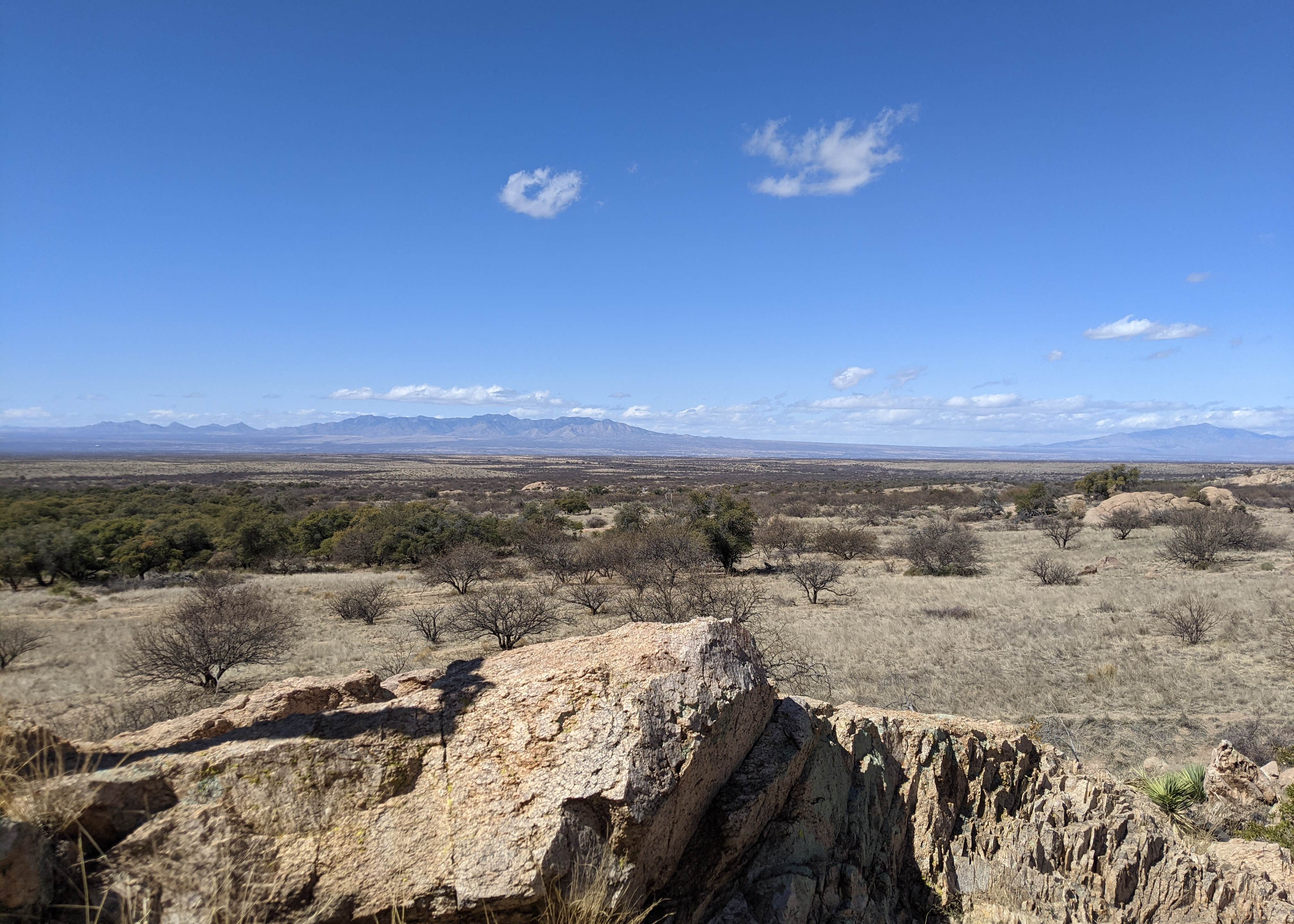 Dragoon Mountains Camping | The Dyrt