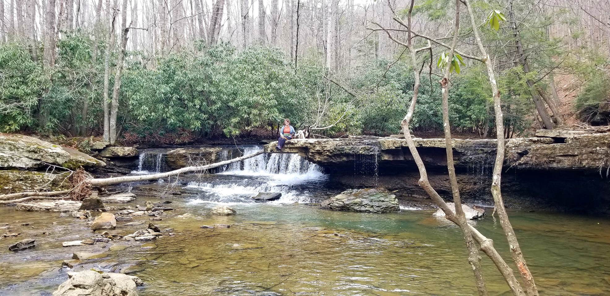 Blue Jay Campground Camping | The Dyrt