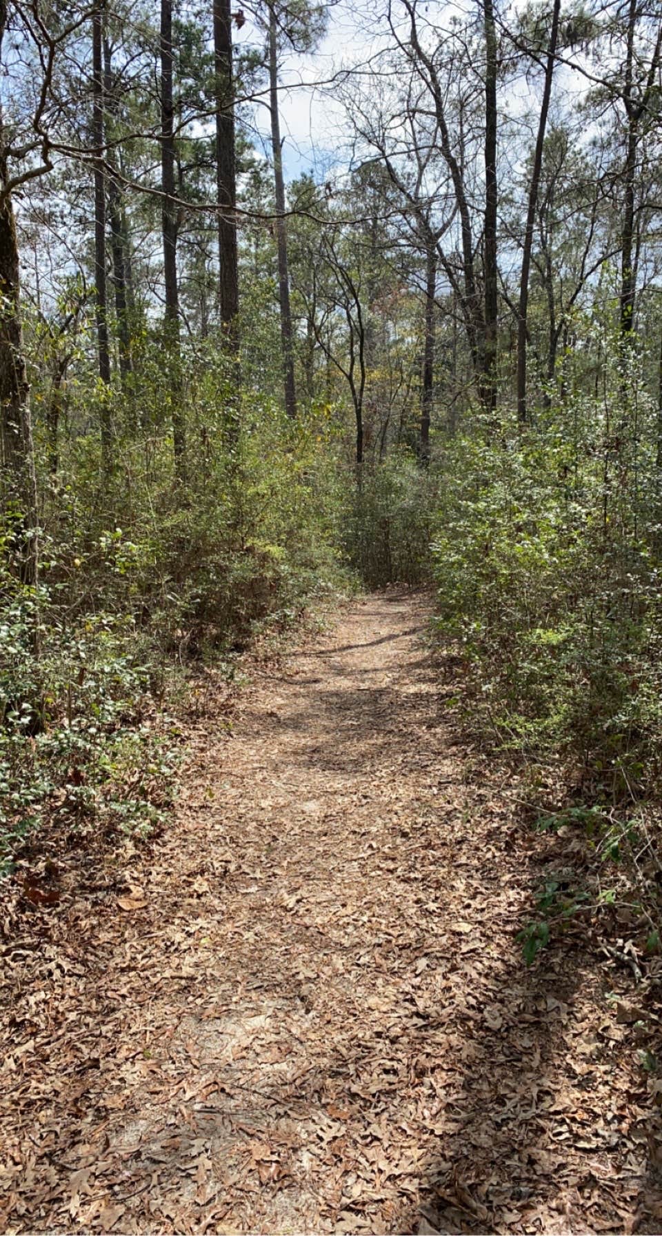 Lake Perry Campground | Beaumont, MS