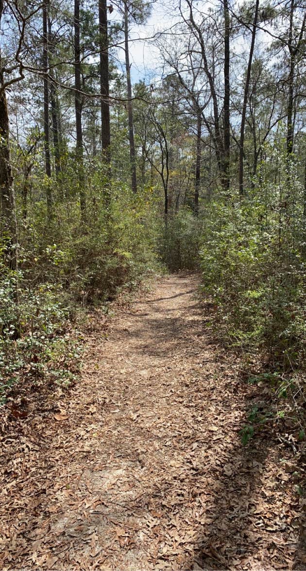 Lake Perry Campground | The Dyrt