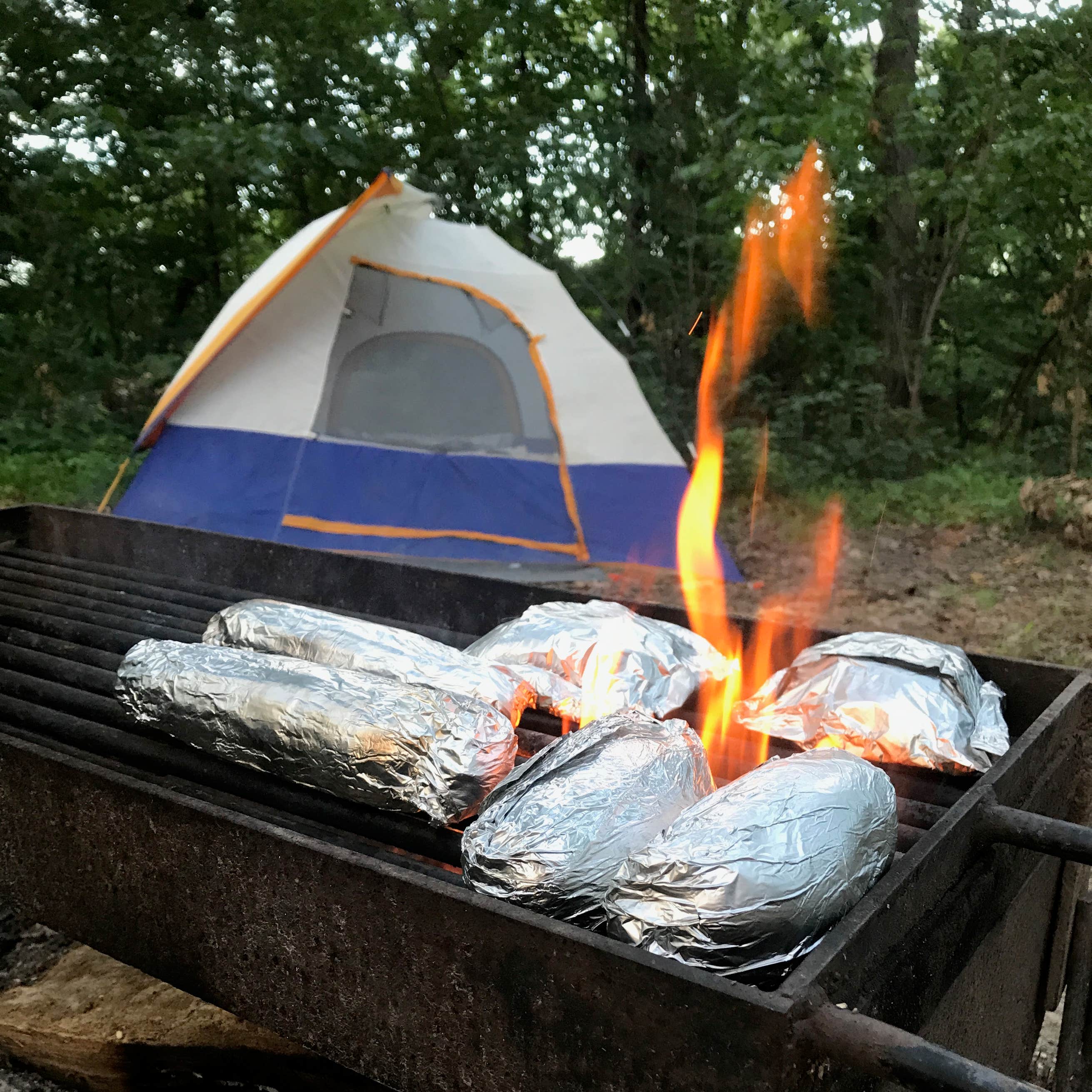 Graham Cave State Park Camping | The Dyrt