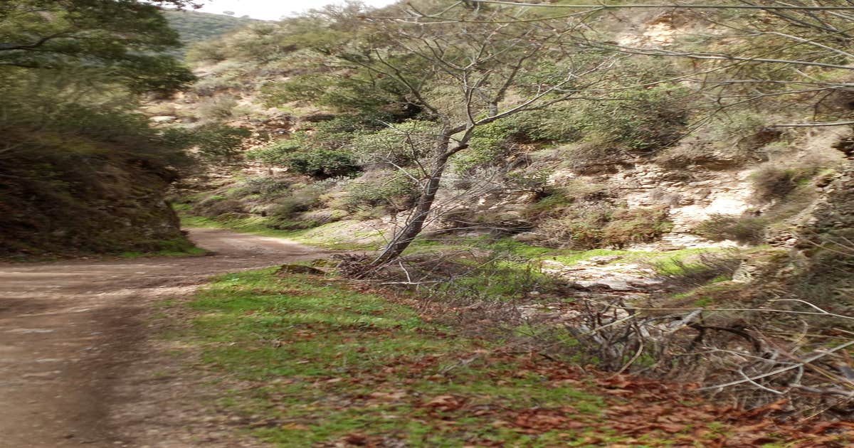 Colson Canyon Campground | Santa Maria, California