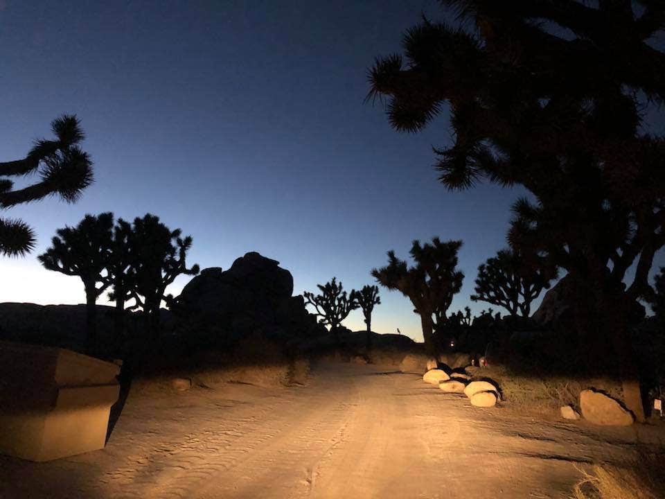 Hidden Valley Campground — Joshua Tree National Park | Twentynine Palms ...