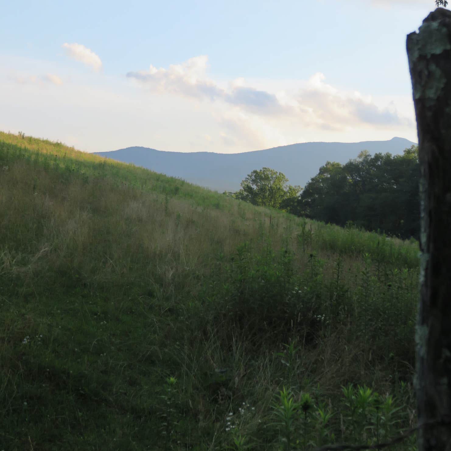 Boone Fork Campground | Collettsville, NC