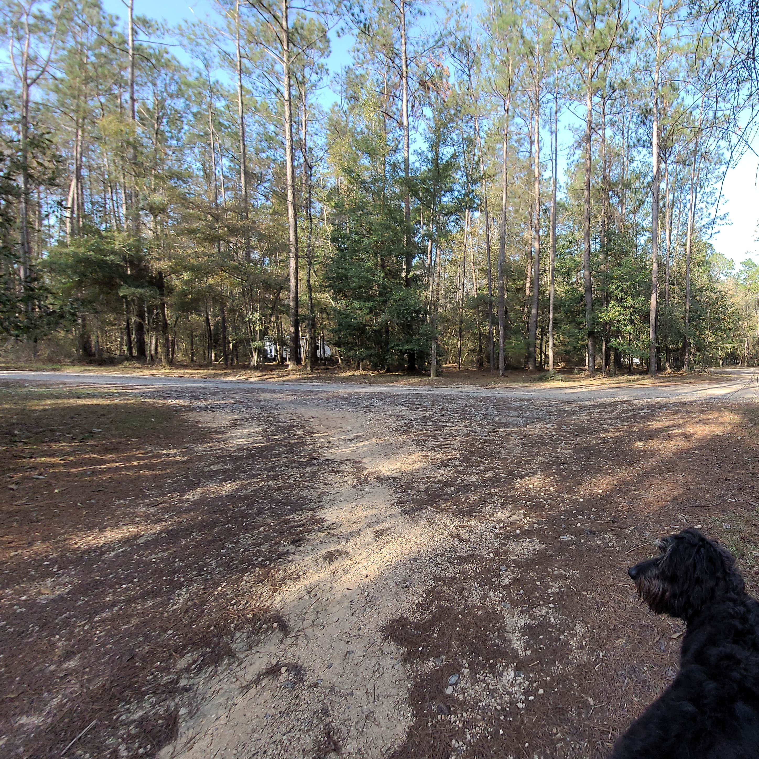 Blakeley State Park Campground | Spanish Fort, Alabama