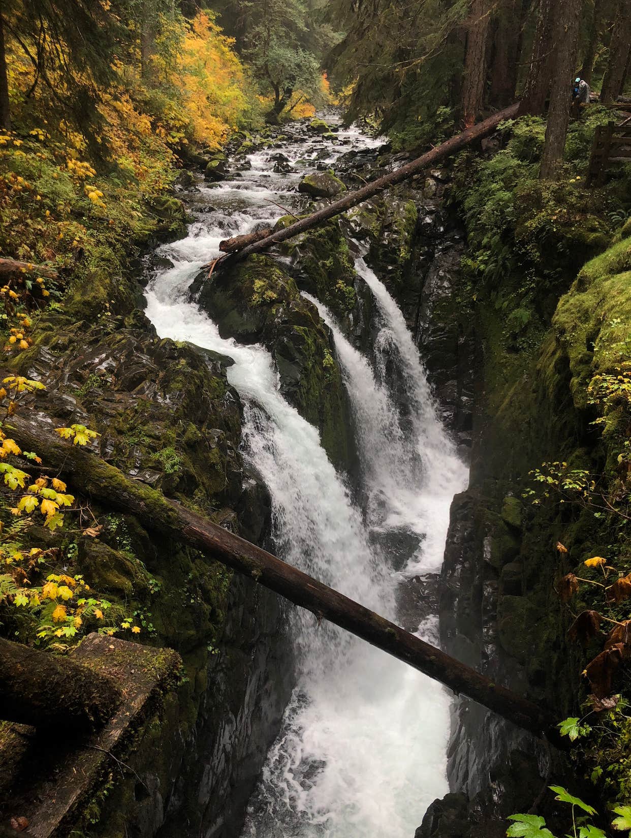 Sol Duc Hot Springs Resort Campground | The Dyrt