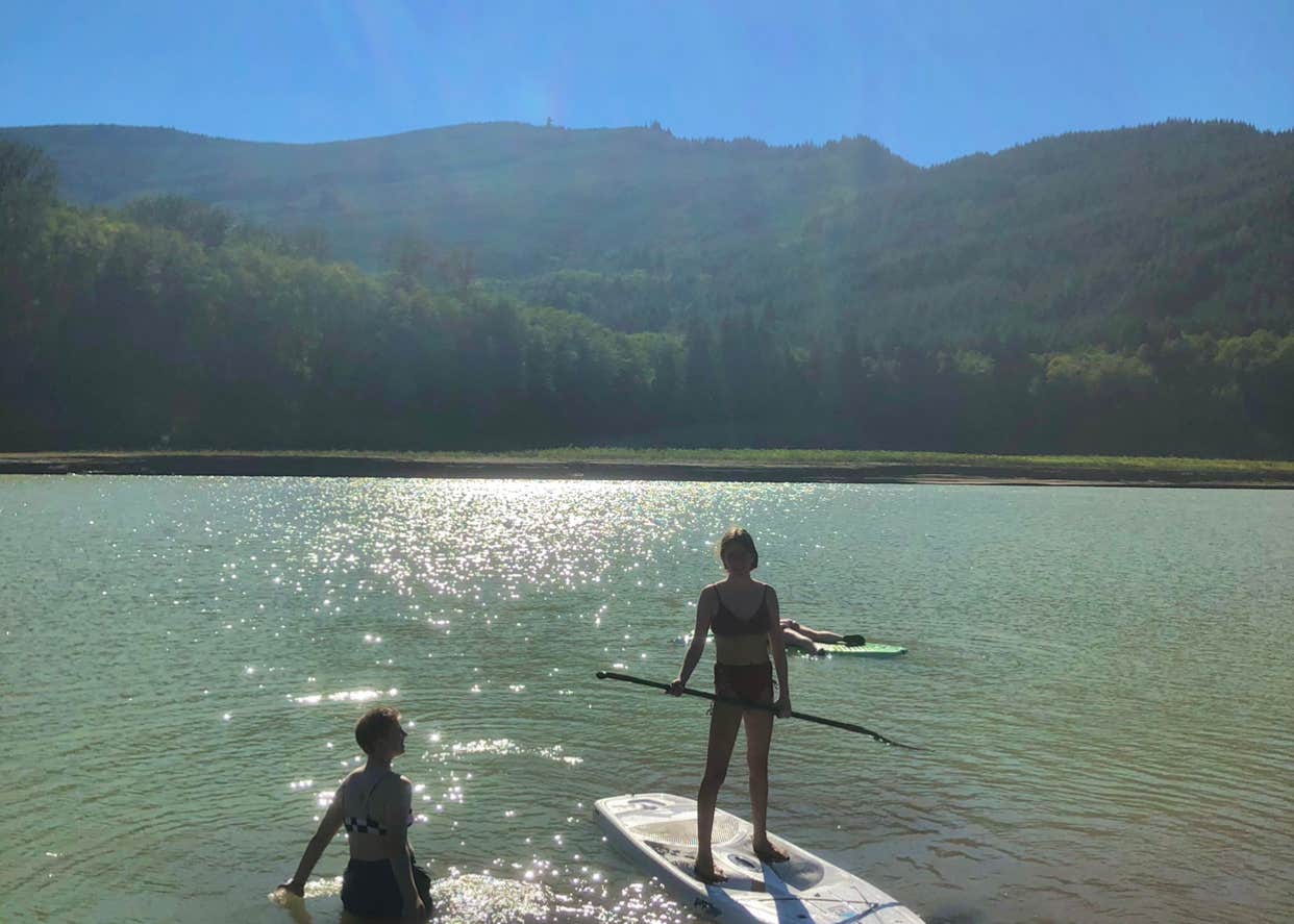 Riffe Lake Campground Camping | The Dyrt