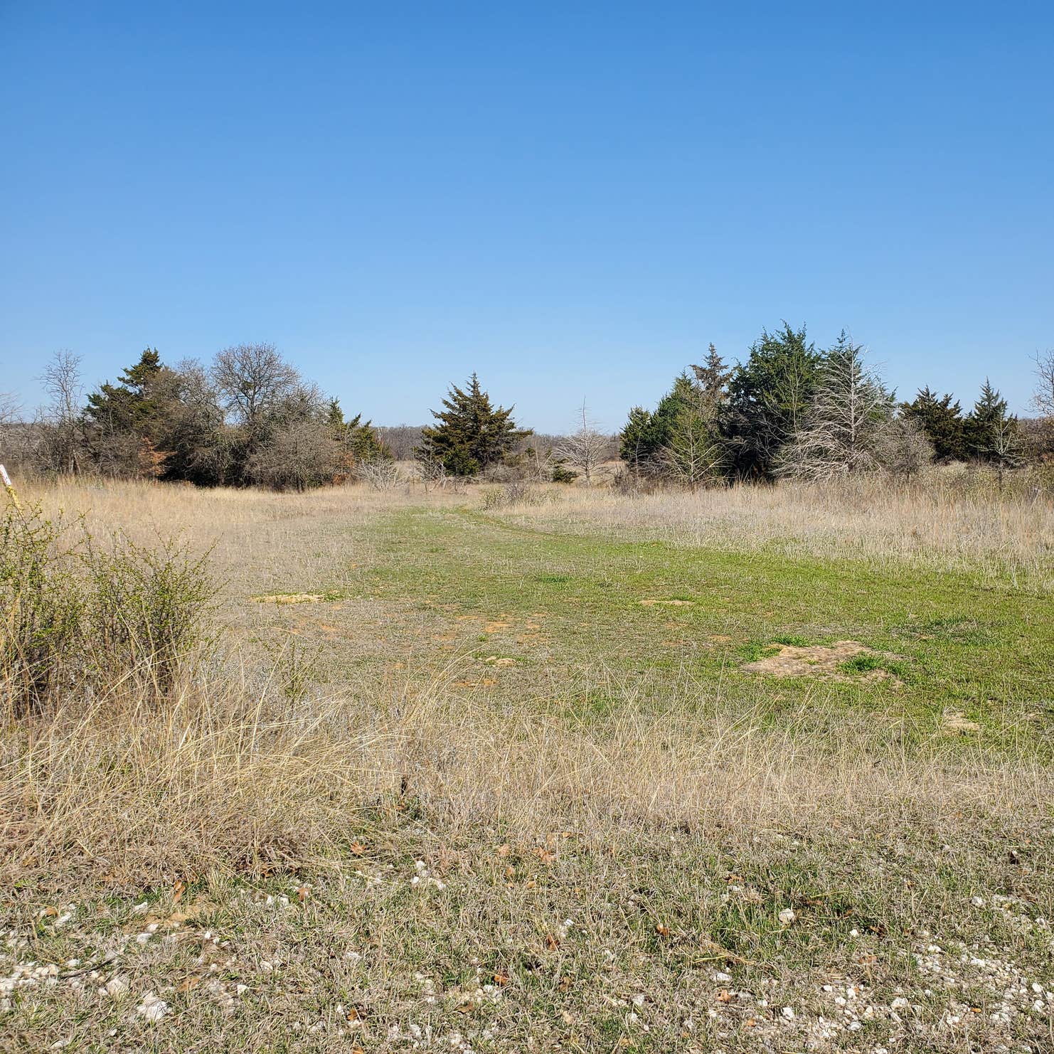 Tadra Point Trailhead & Campground | Alvord, Texas