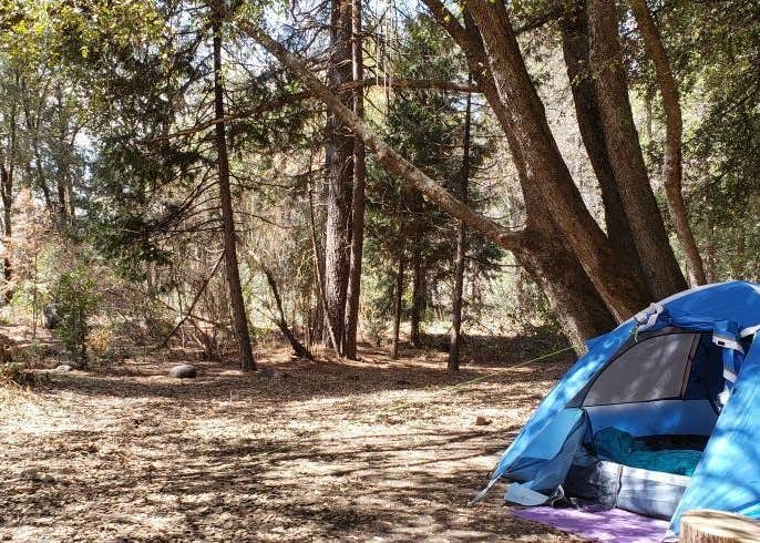Wishon Campground Camping | The Dyrt