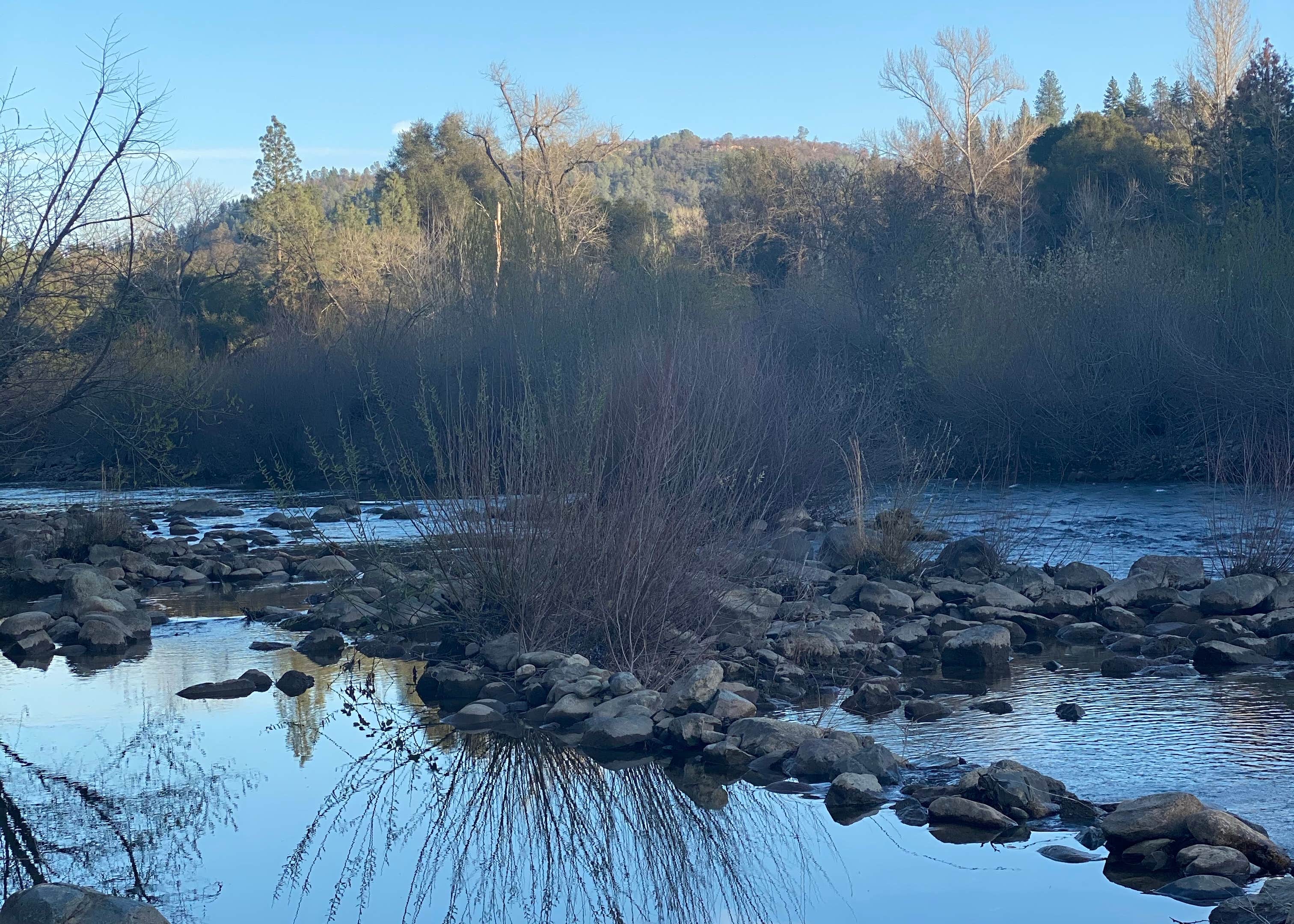 Coloma Resort Camping | The Dyrt