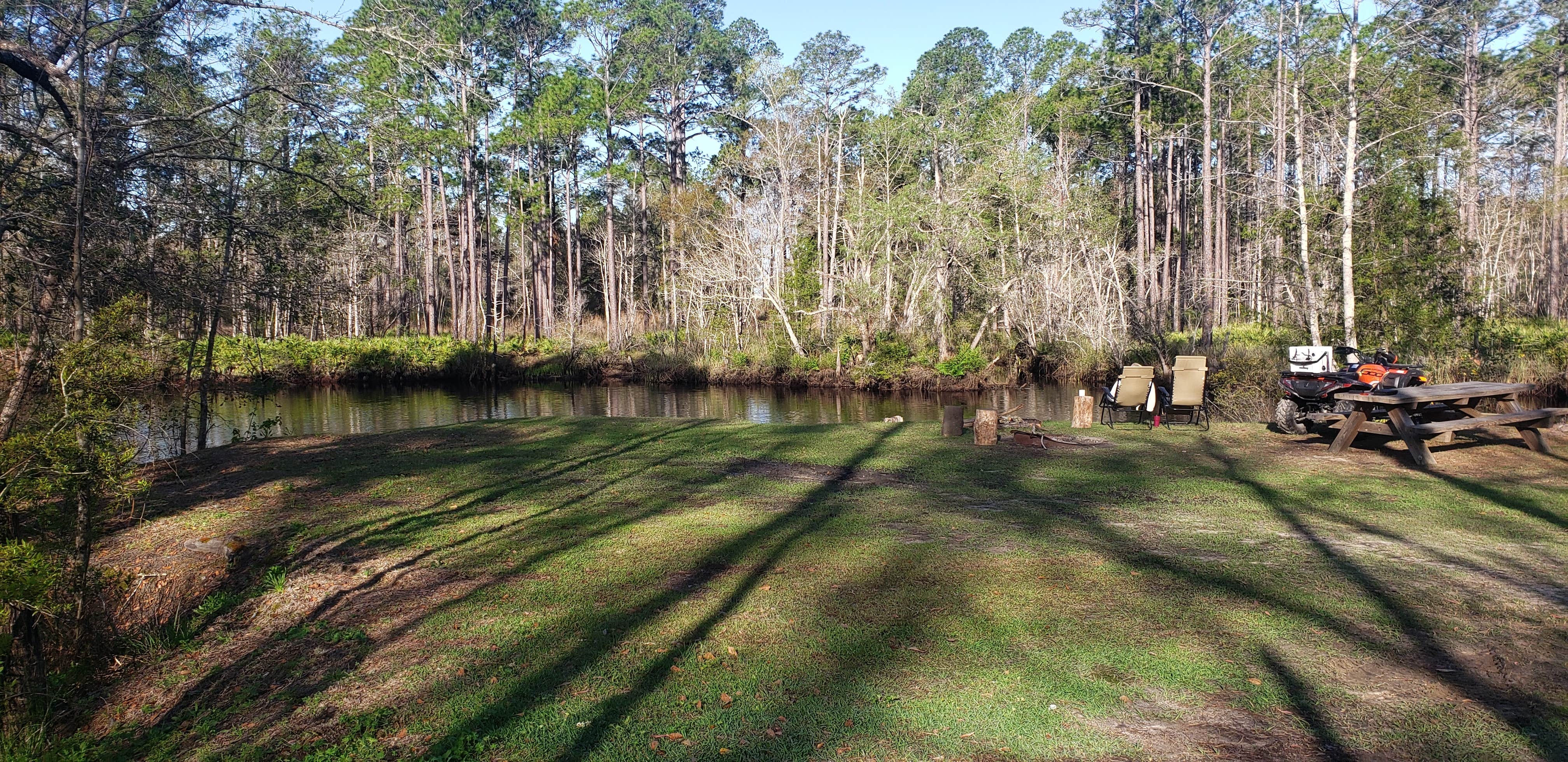 Tate's Hell State Forest | The Dyrt