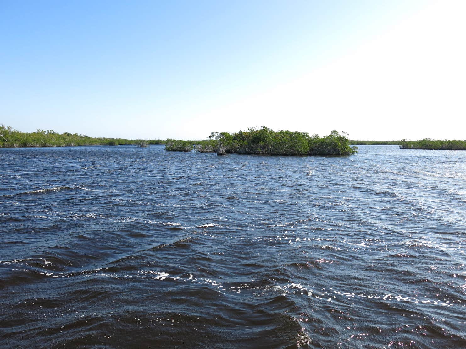 Backcountry Hells Bay Chickee - Everglades National Park | The Dyrt