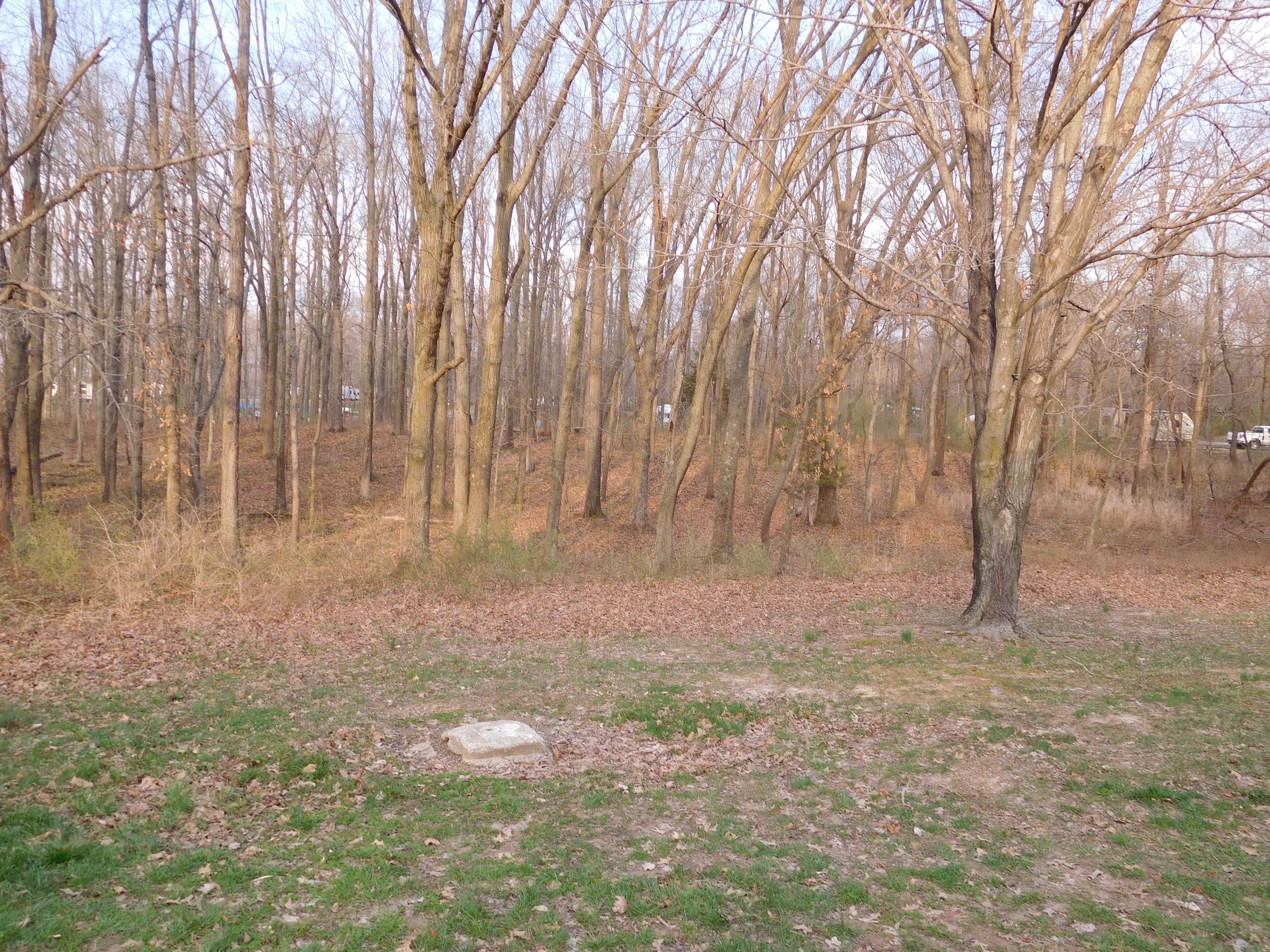 Rend Lake Gun Creek Campground | Johnsonville, Illinois