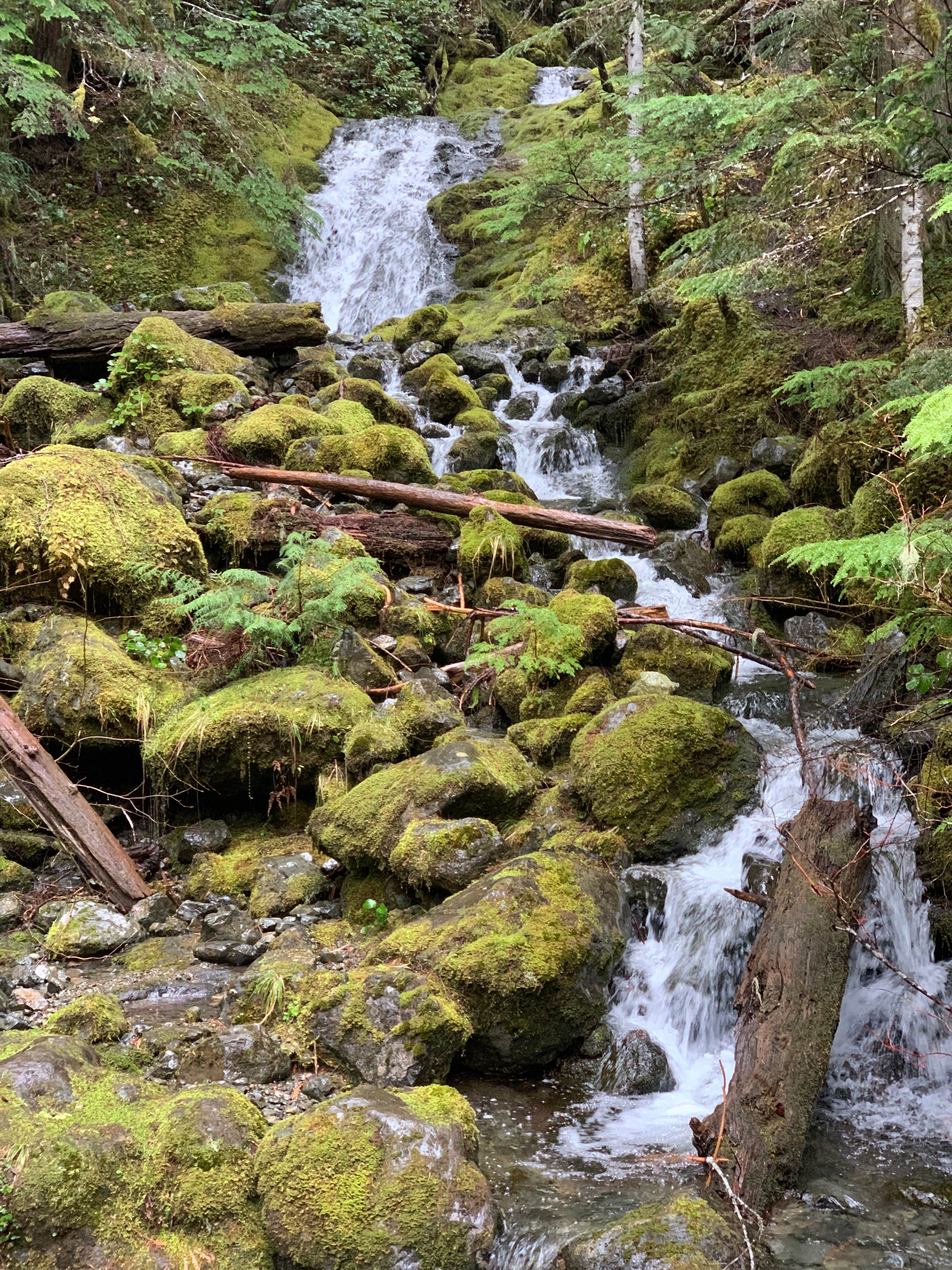 Lena Lake Campground | The Dyrt