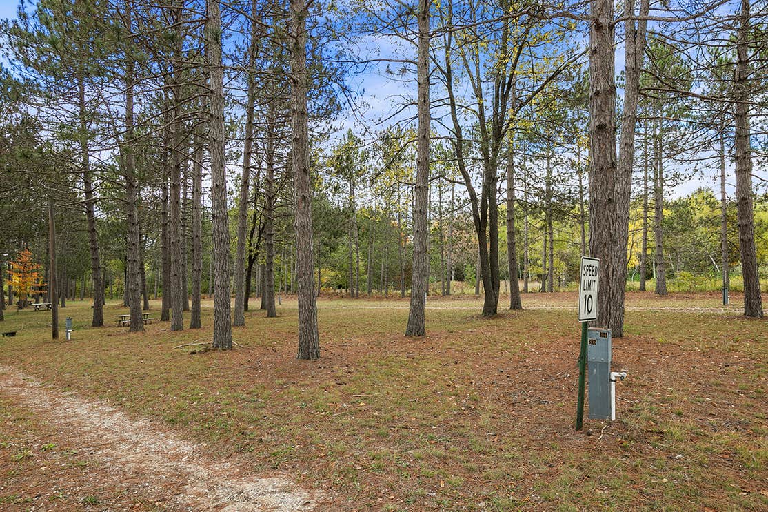 Manton Trails RV Park, Hotel & Campground | The Dyrt