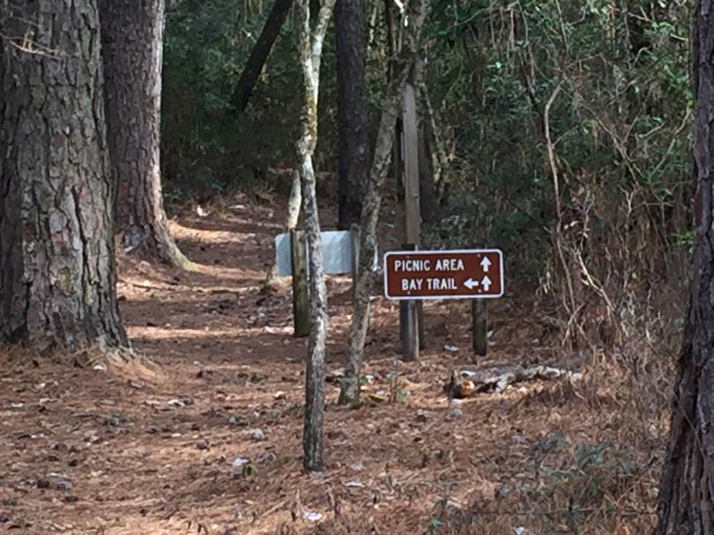 Jones Lake State Park Campground | Elizabethtown, NC
