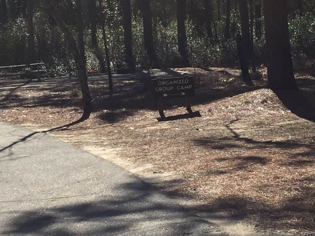 Jones Lake State Park Campground | Elizabethtown, NC