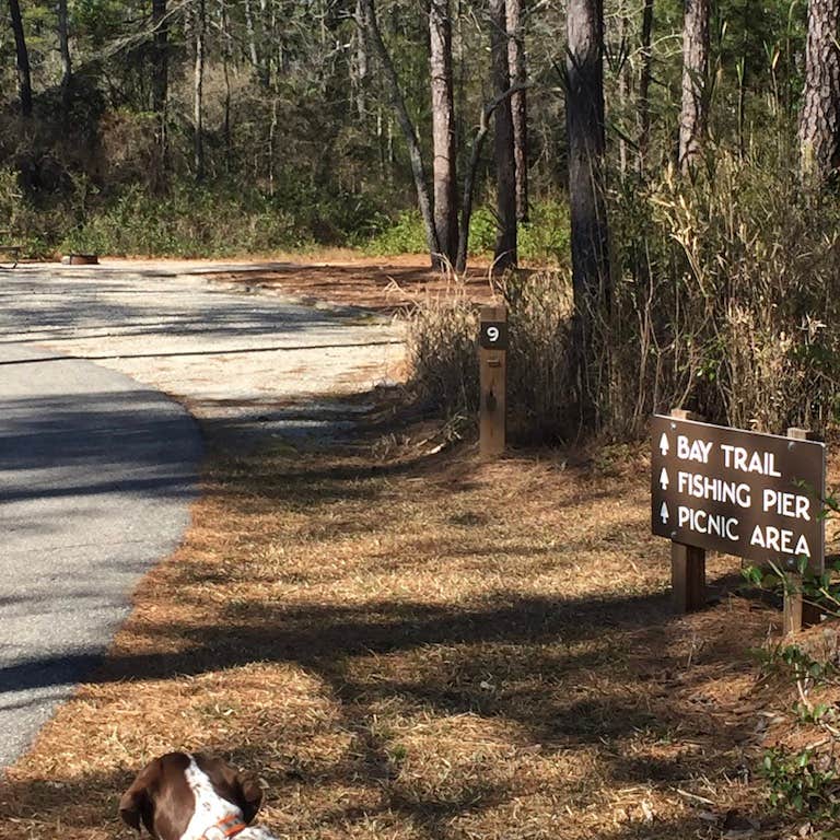 Jones Lake State Park Camping | The Dyrt