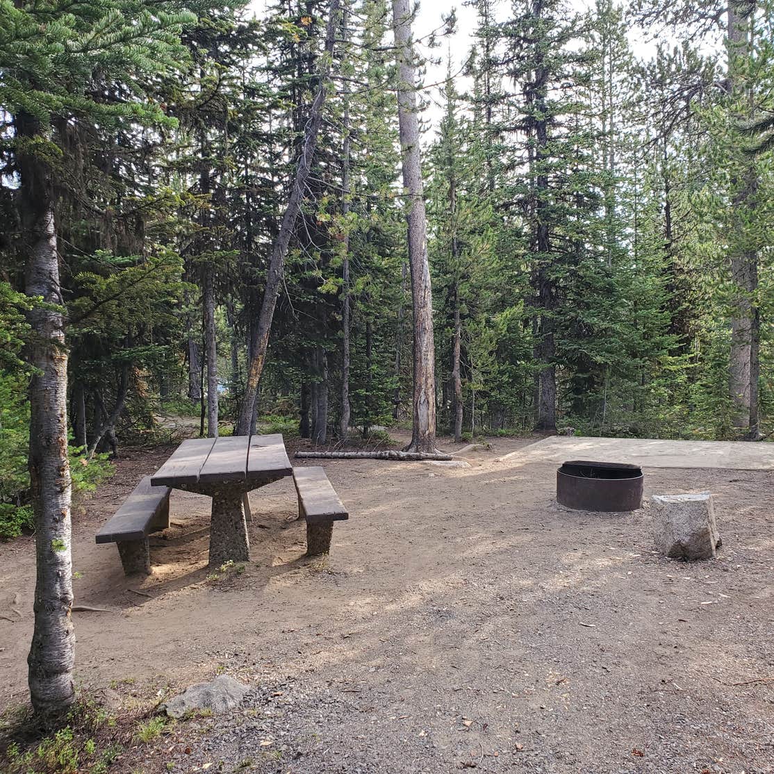 Anthony Lakes Mountain Resort Campground Camping | The Dyrt