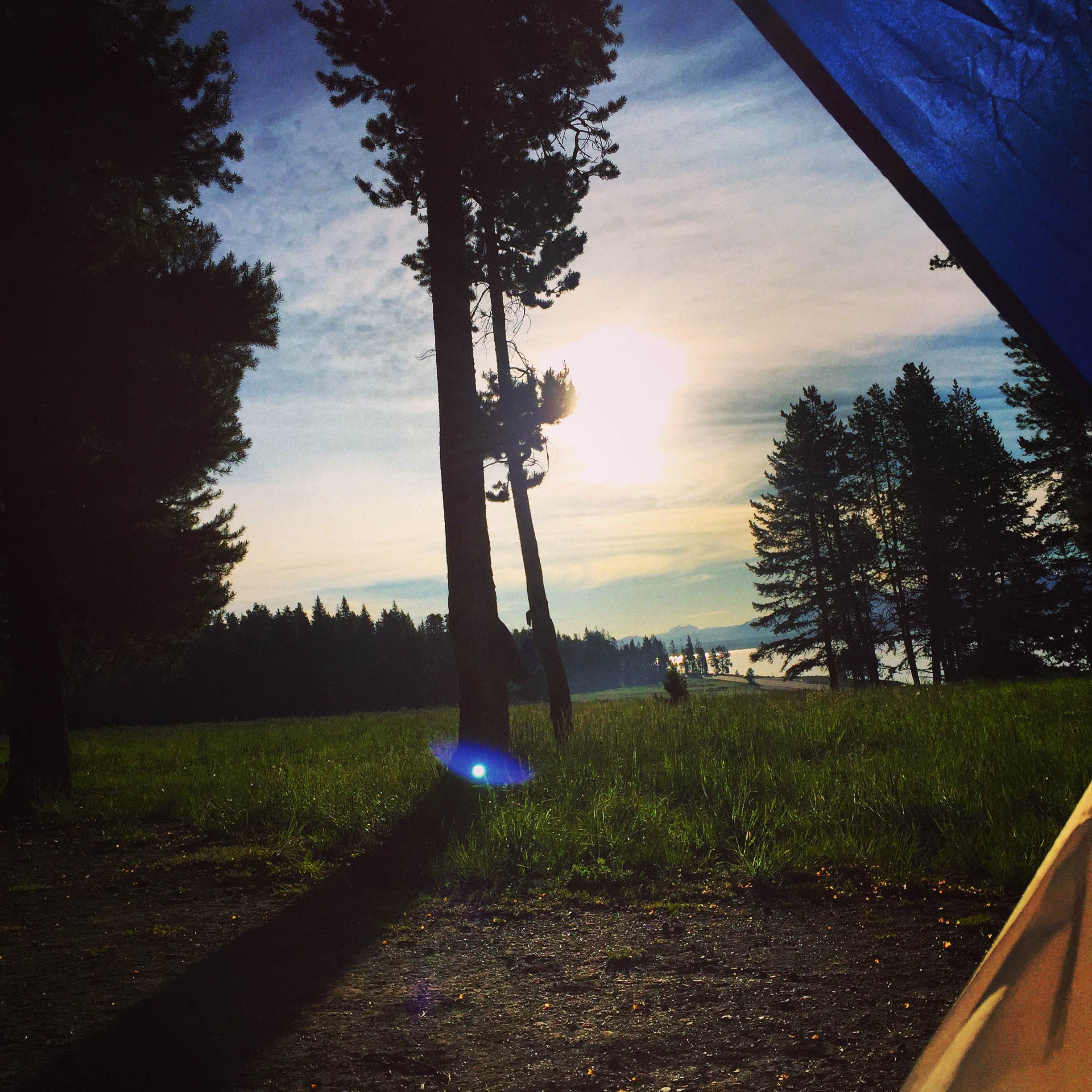 Bridge Bay Campground — Yellowstone National Park | West Yellowstone ...