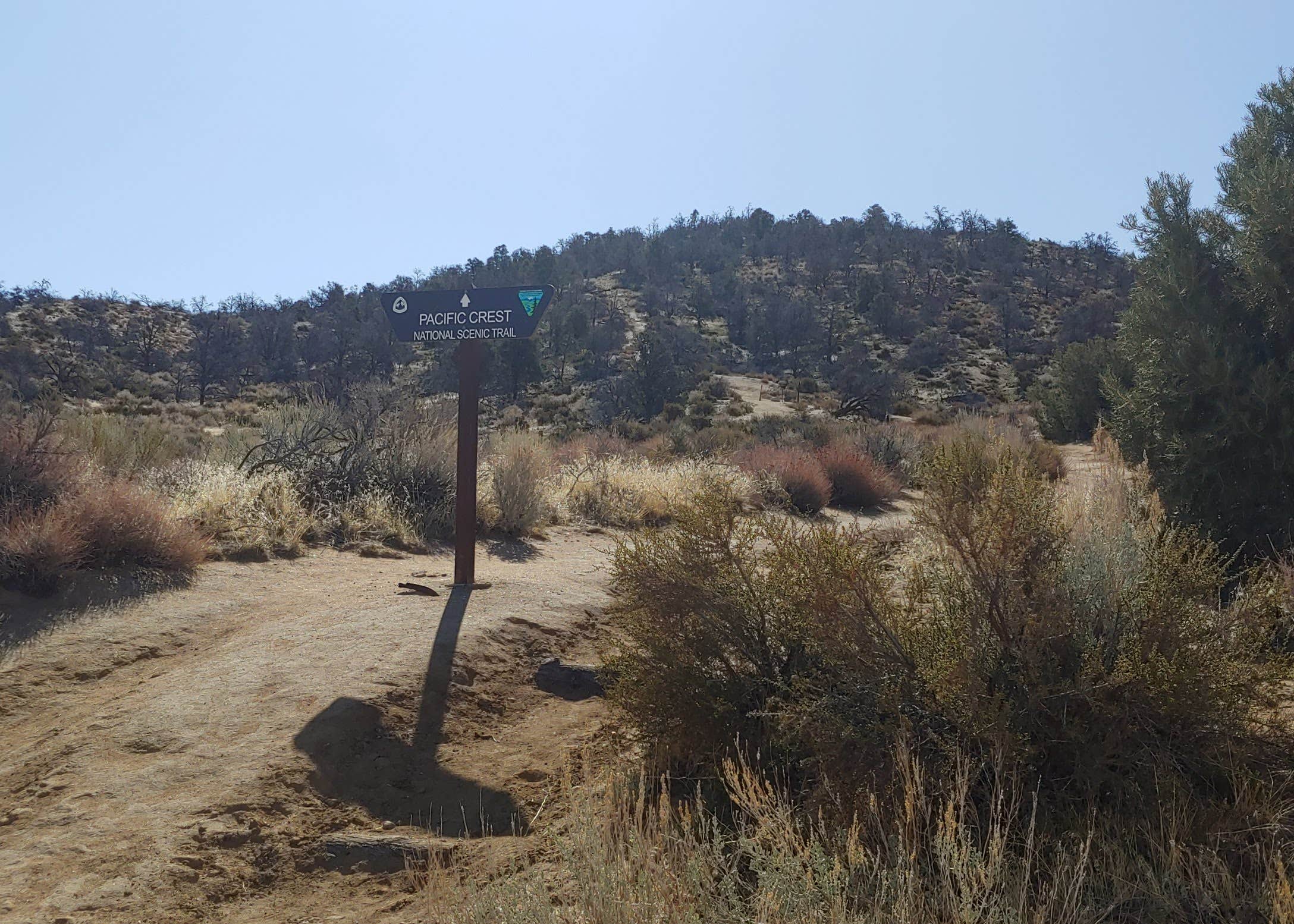 Walker Pass Campground Camping | The Dyrt