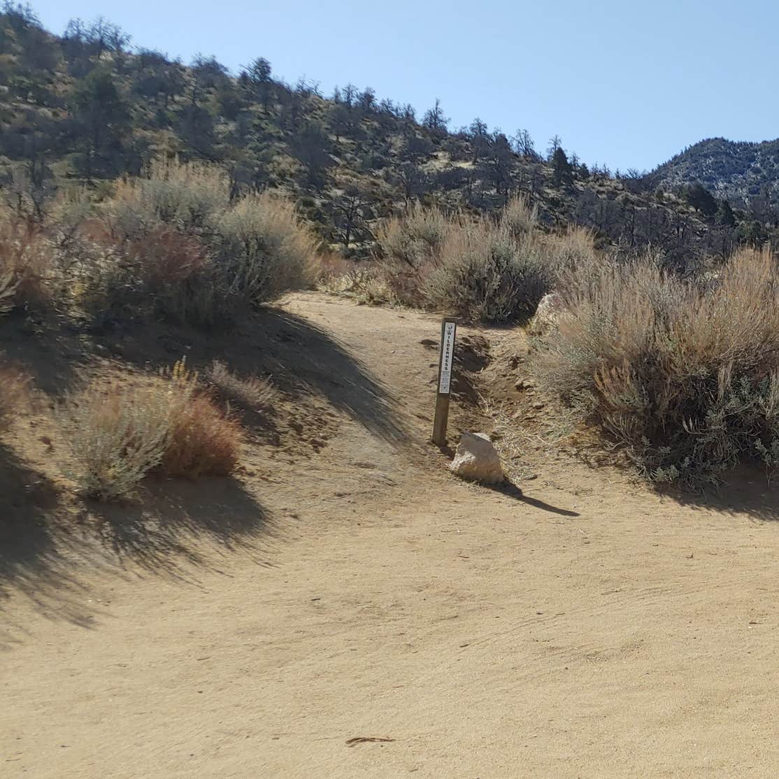 Walker Pass Campground Camping | The Dyrt