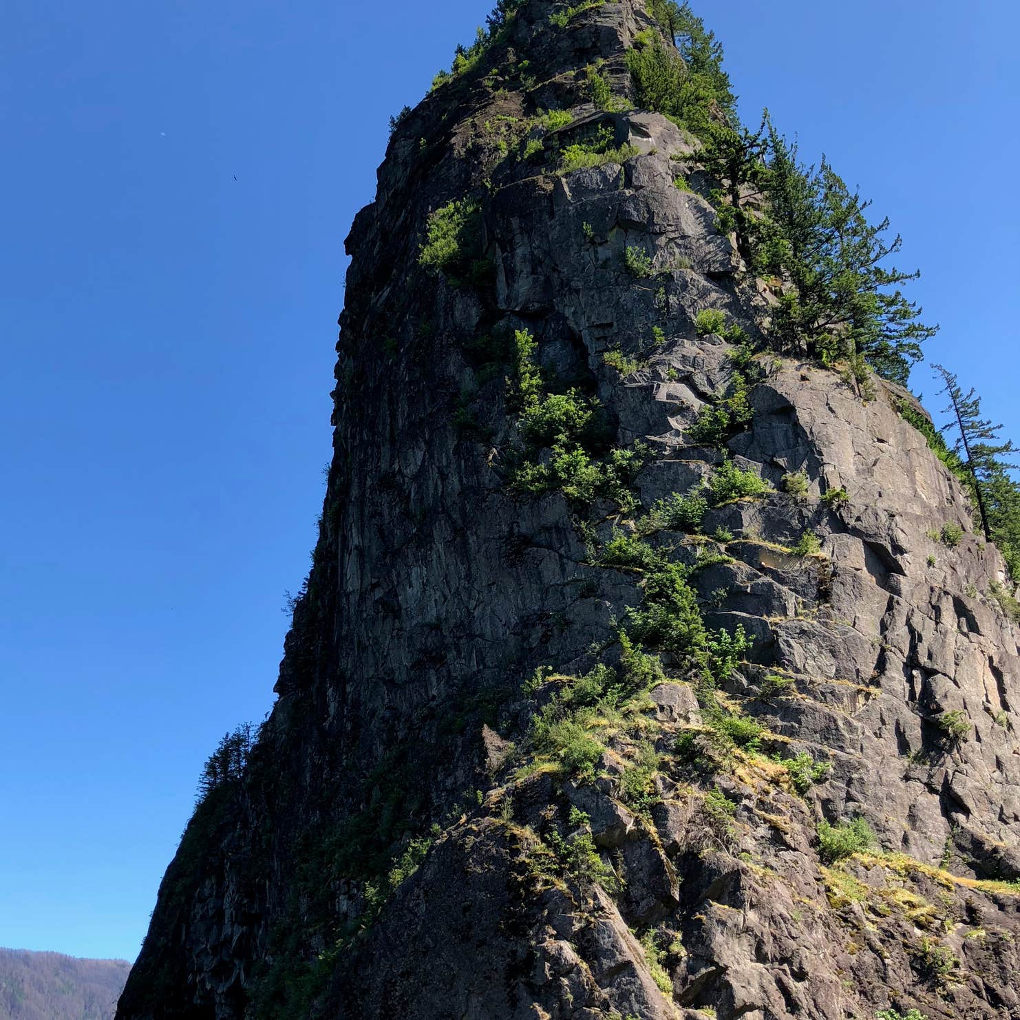 Beacon Rock State Park Camping | The Dyrt