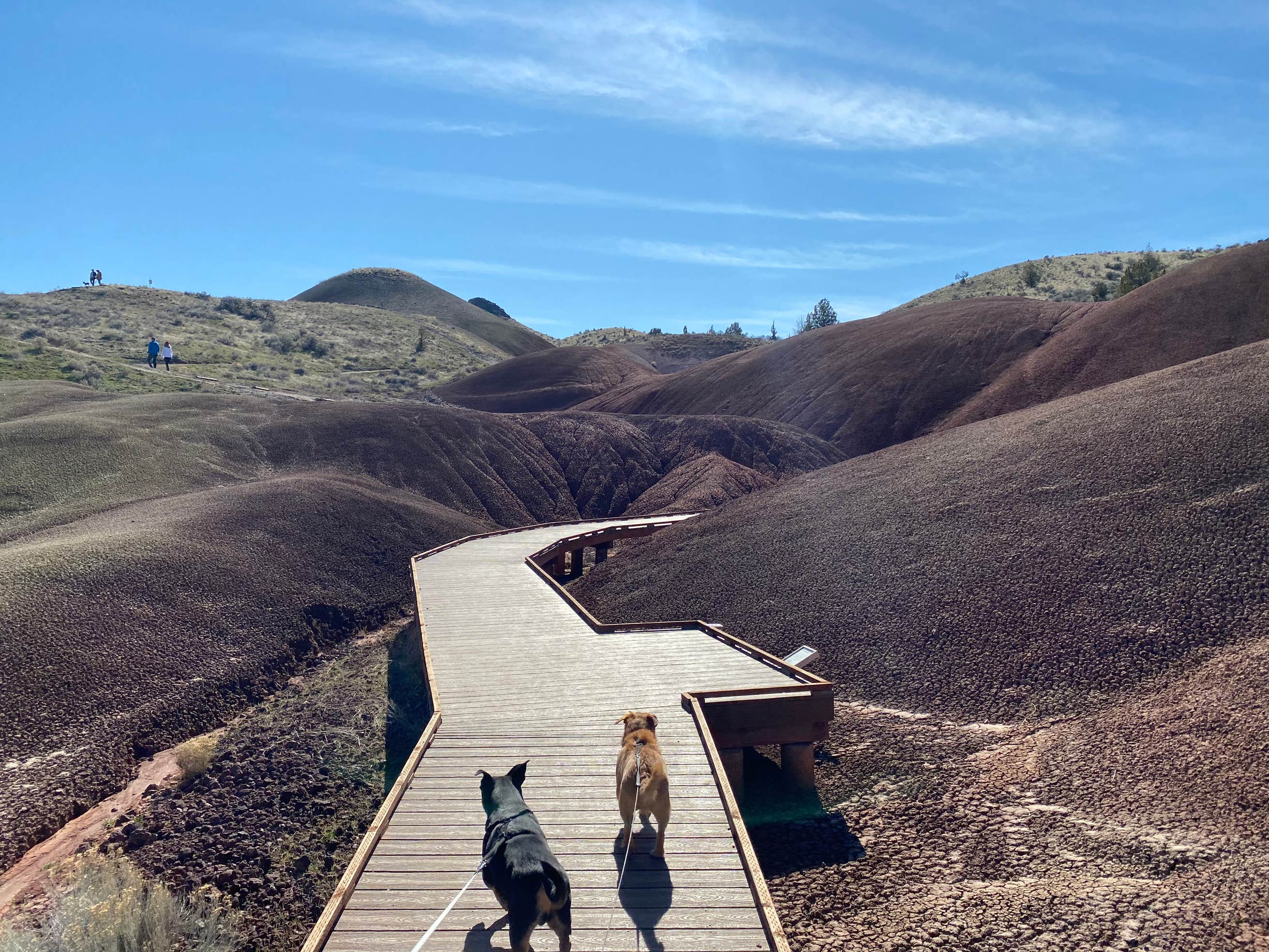 Burnt Ranch Road/Bridge Creek (Painted Hills) | The Dyrt
