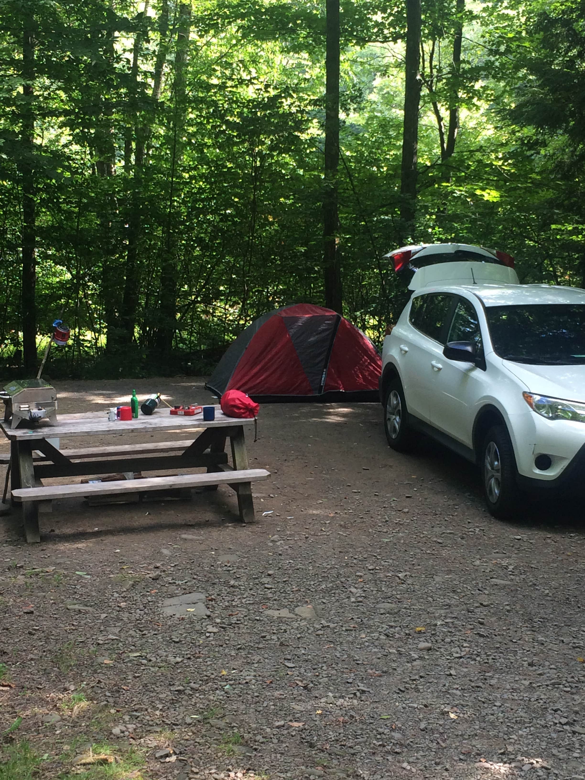 Cedar Point County Park Camping | Sag Harbor, New York