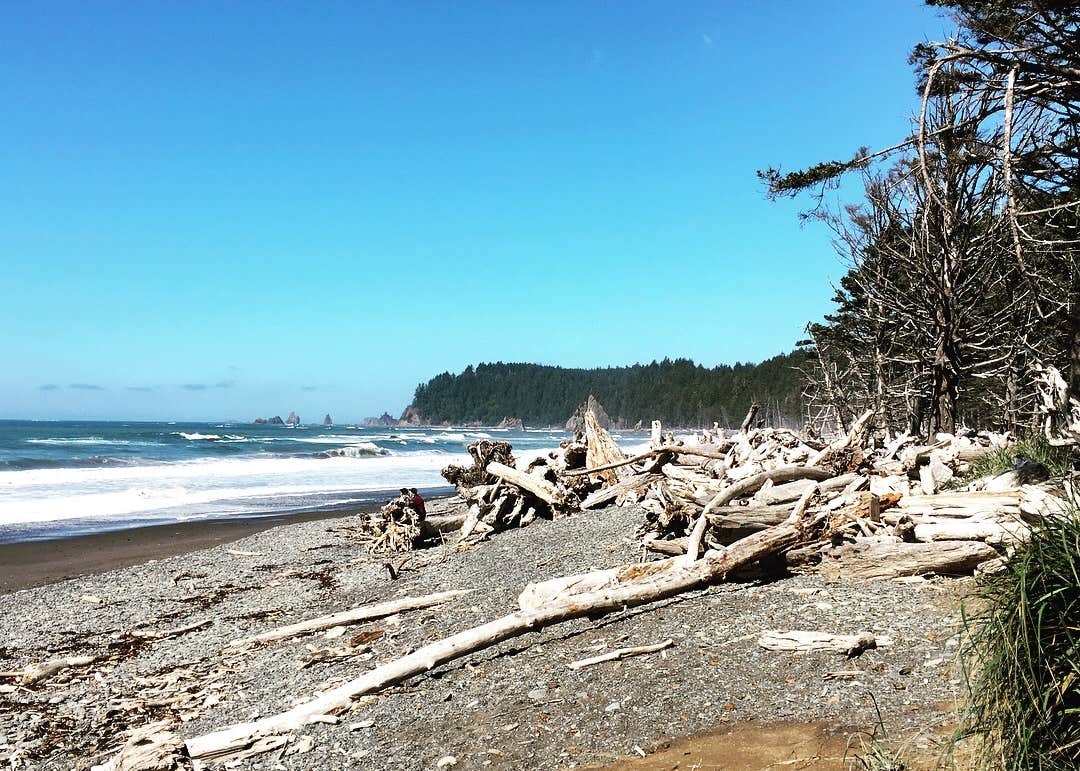 Mora Campground Camping | The Dyrt