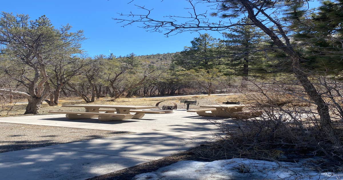 Kyle Canyon Campground (formerly Day Use only) | Mount Charleston, NV