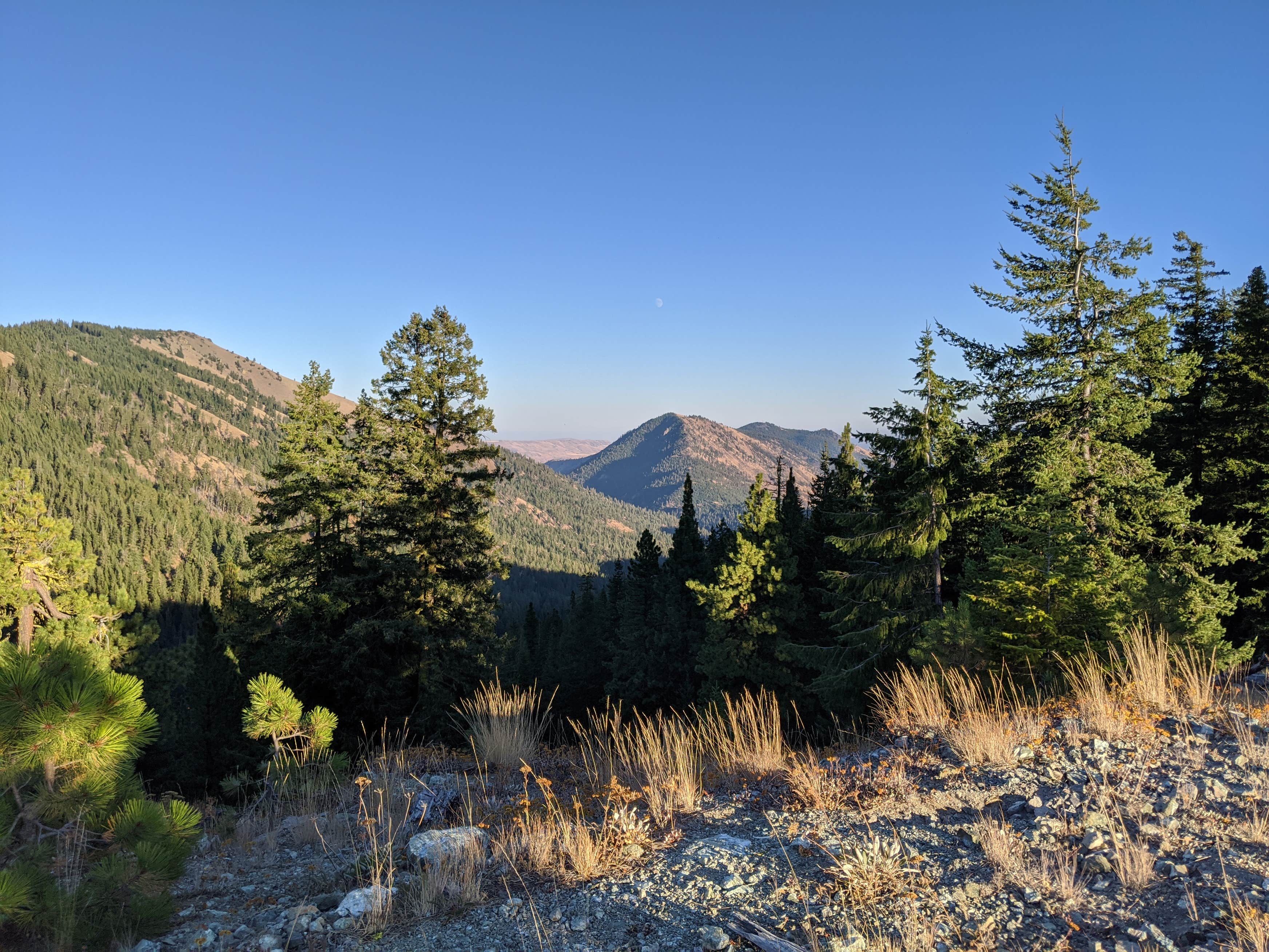 Chumstick Mountain Dispersed Camping Camping | The Dyrt