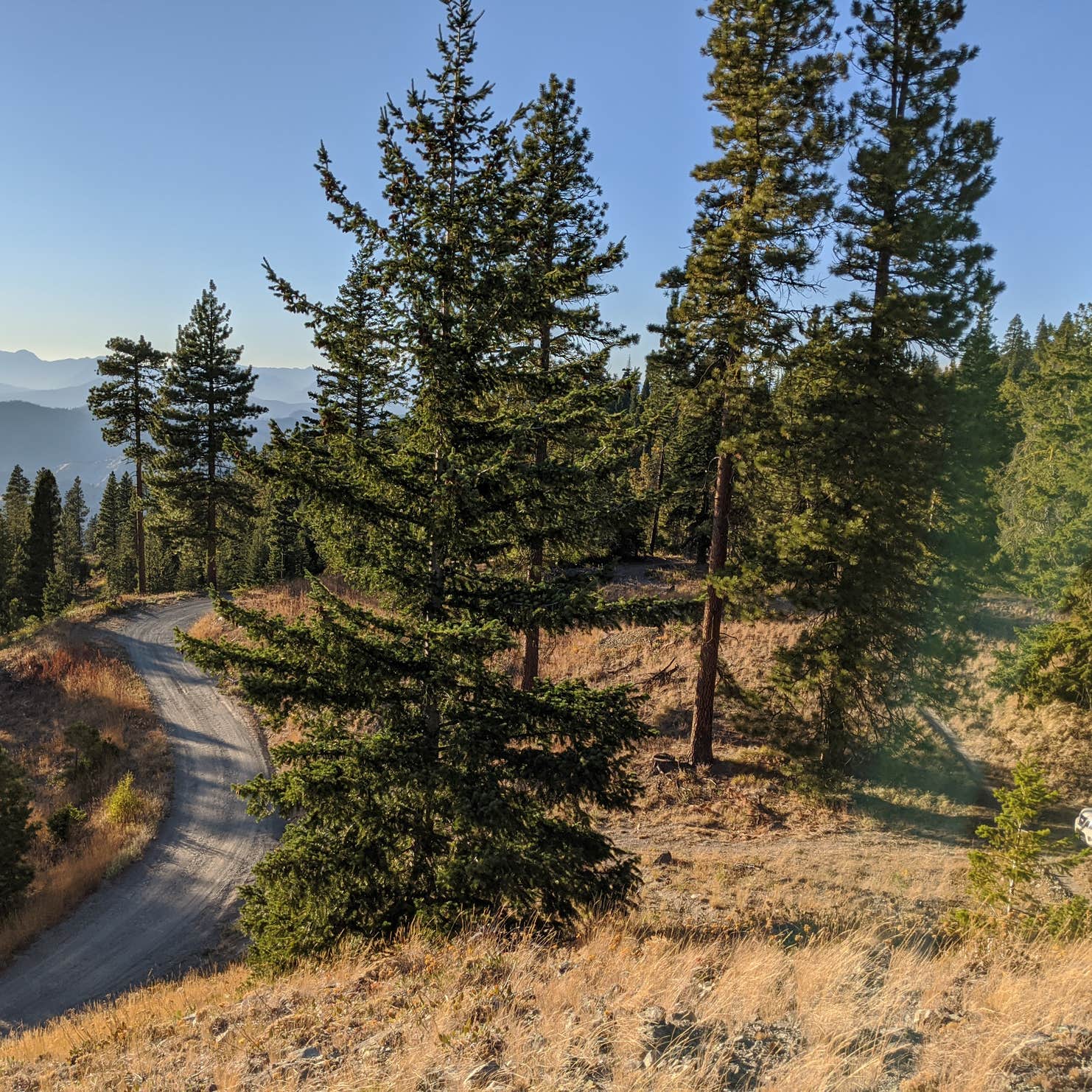 Chumstick Mountain Dispersed Camping Camping | The Dyrt