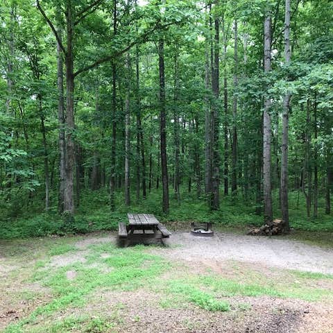 Johnson Creek Camping | Ava, Illinois